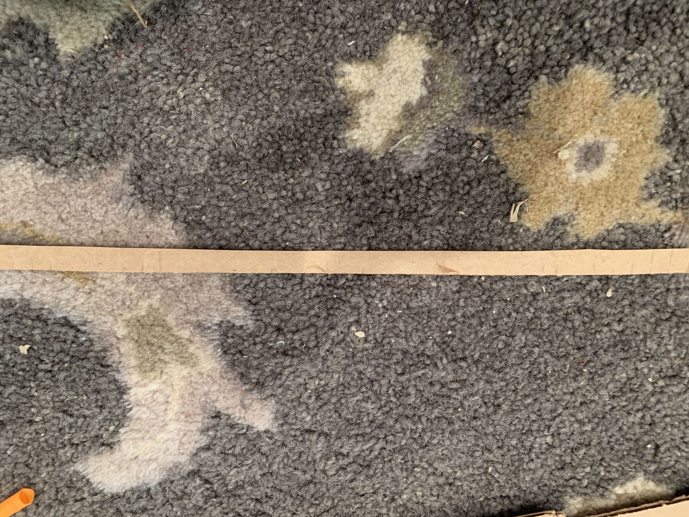 Flower Automata : 8 Steps - Instructables