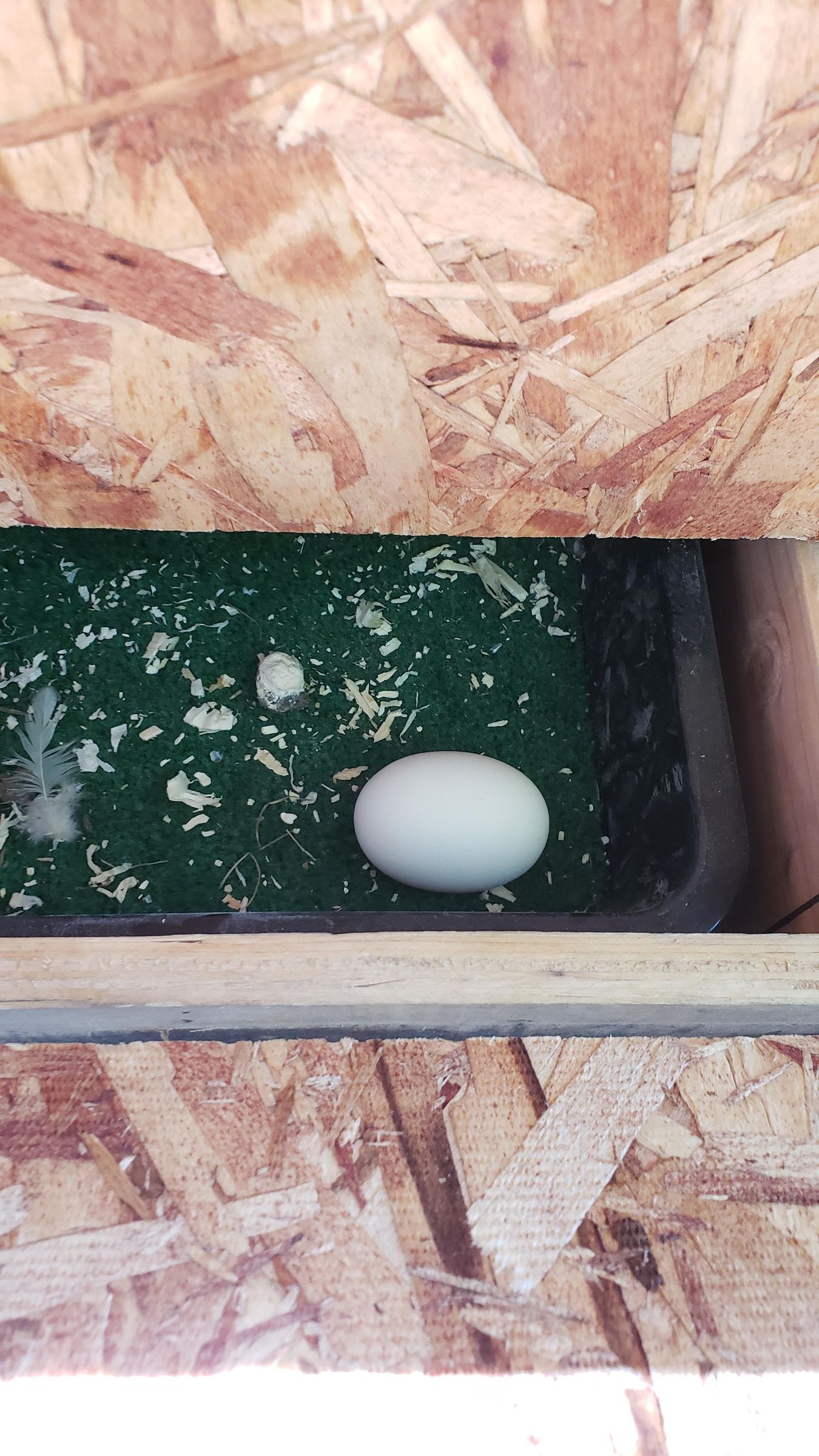 Easy Egg Collecting Exterior Nesting Box : 5 Steps (with Pictures ...