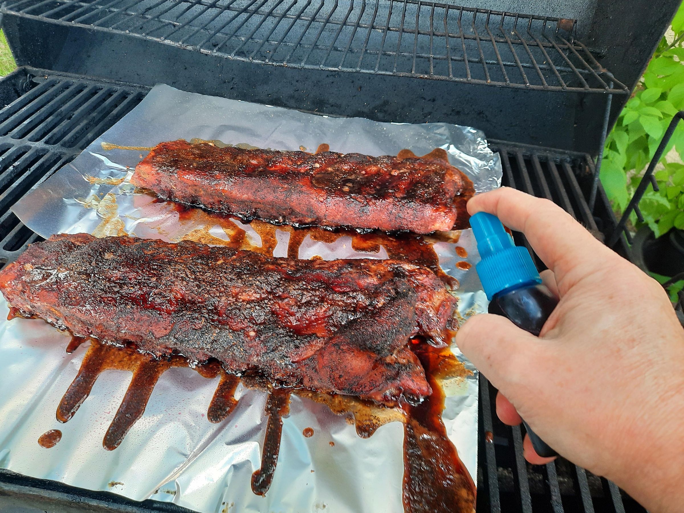 Amazing and Versatile Rib Rub : 11 Steps (with Pictures) - Instructables