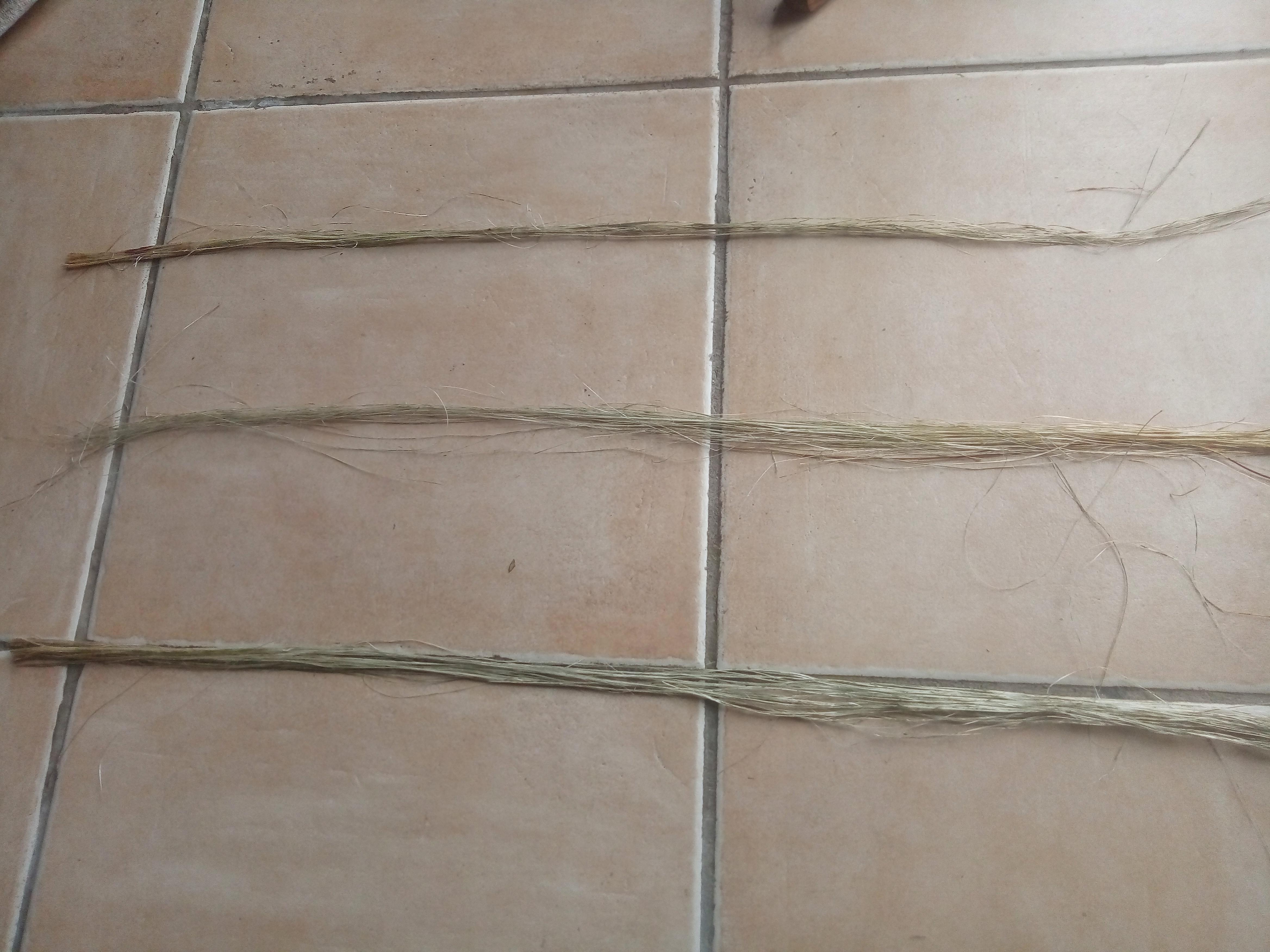 How to Make Rope / String With Natural Plant Fibers : 6 Steps (with ...