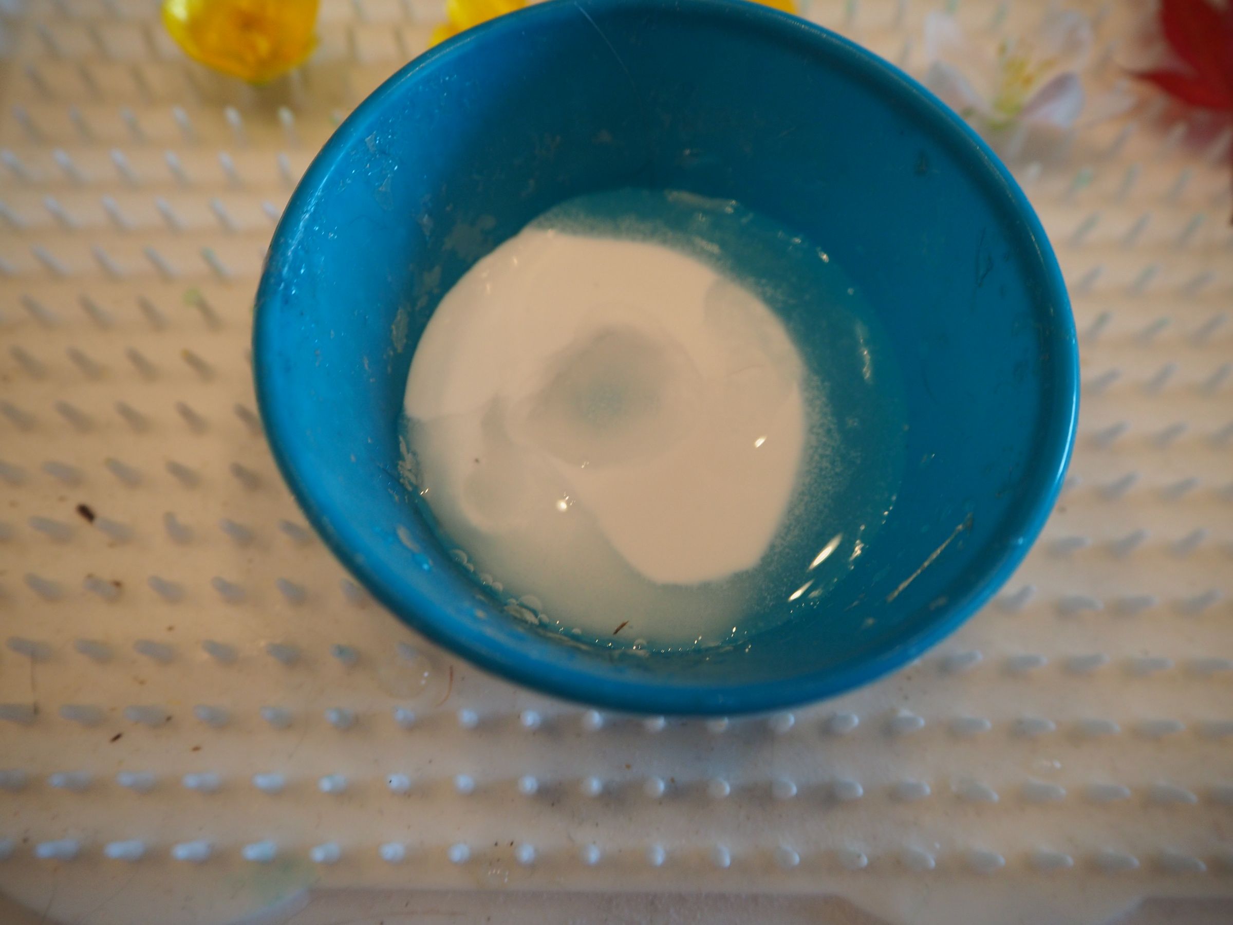 Techniques to Embed Flowers in Resin : 12 Steps (with Pictures ...