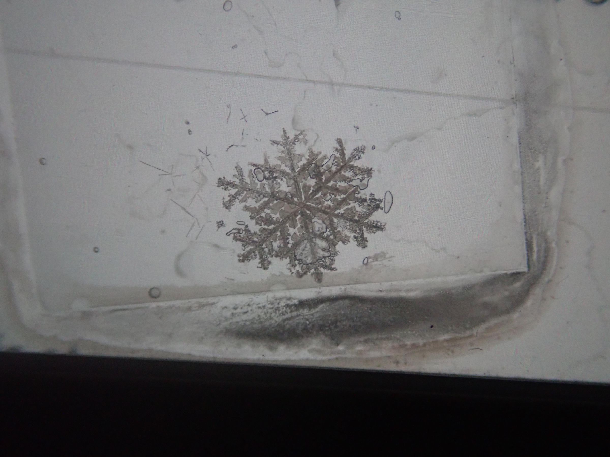 How to Preserve a Snowflake Forever! : 7 Steps (with Pictures ...