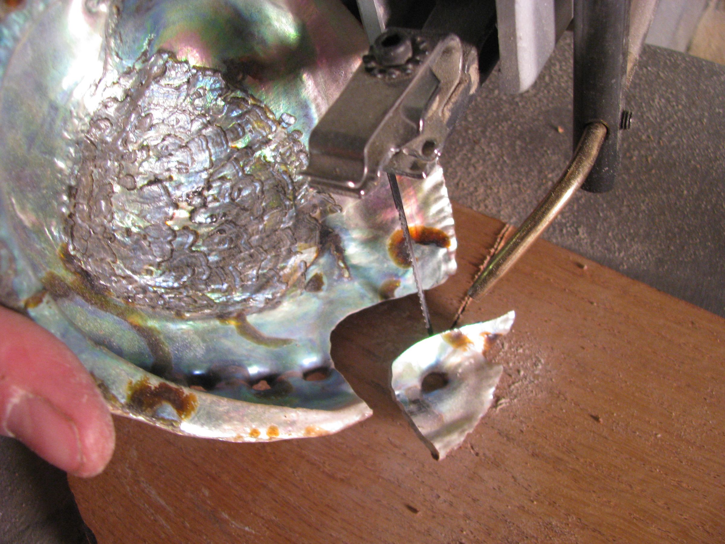 How to Polish Sea Shell : 4 Steps - Instructables