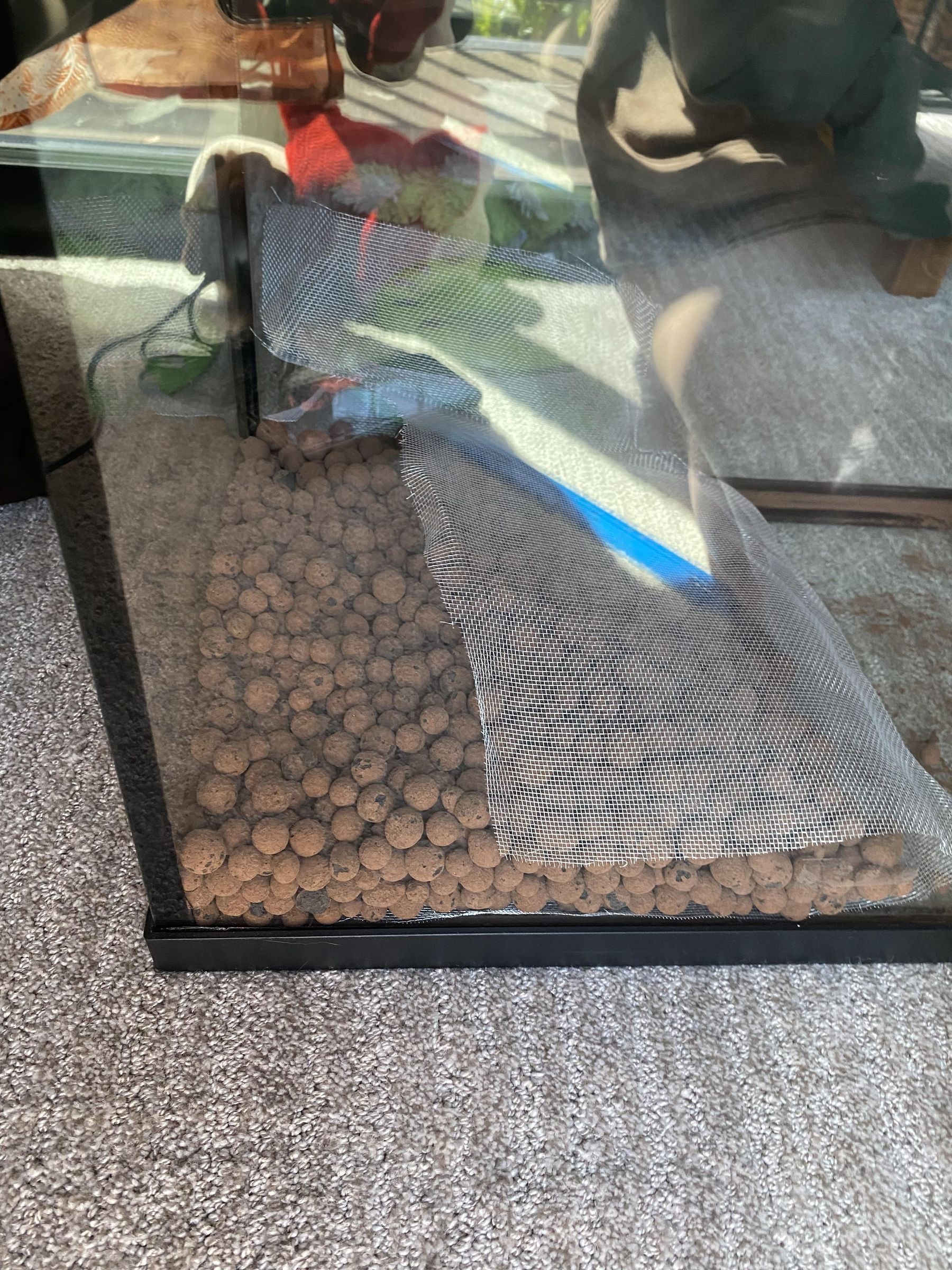 How to Build a Paludarium : 7 Steps (with Pictures) - Instructables