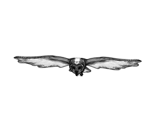 3D Owl in Attack Mode : 3 Steps - Instructables