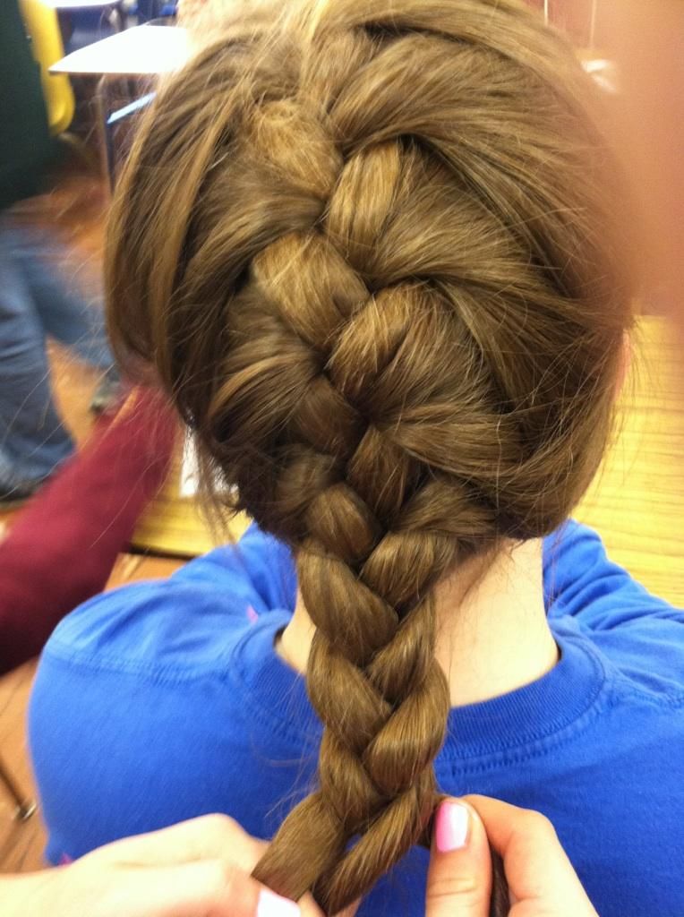 How to Make a Traditional French Braid : 9 Steps (with Pictures ...
