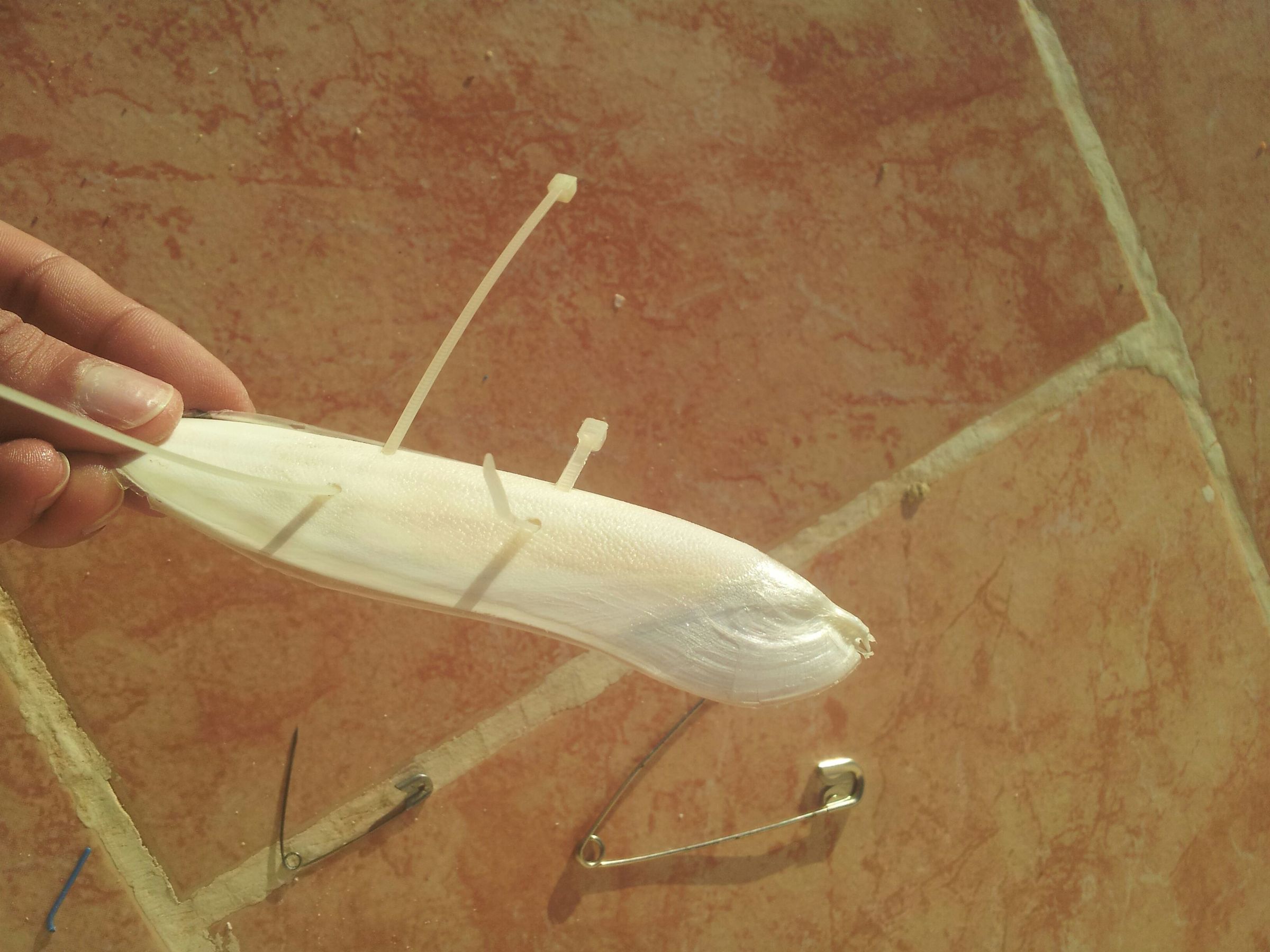 Zip Tie Cuttlebone Holder for Birds : 6 Steps - Instructables