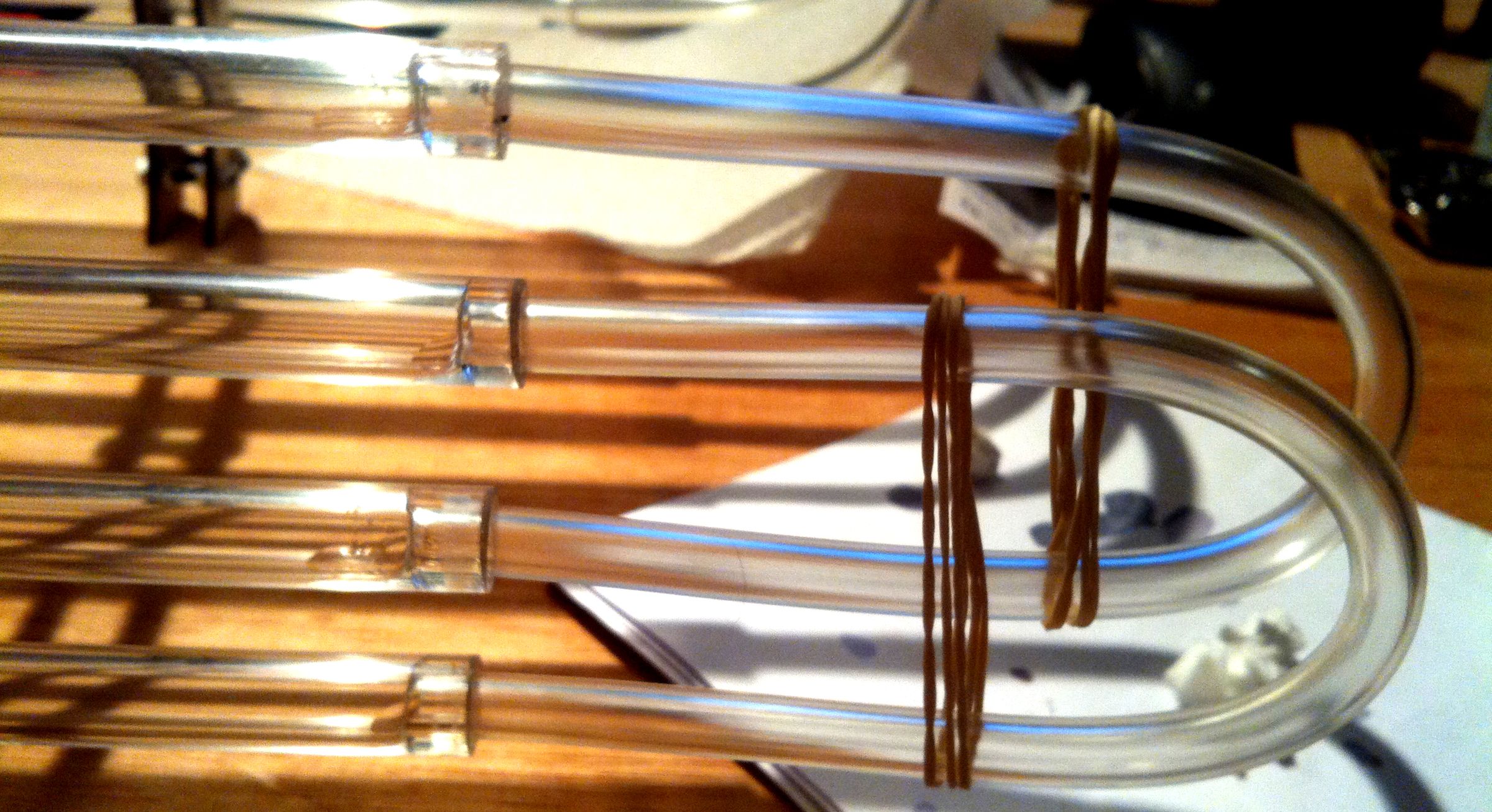 The Algae Experiment: How to Build Your Own Algae Photo-bioreactor ...