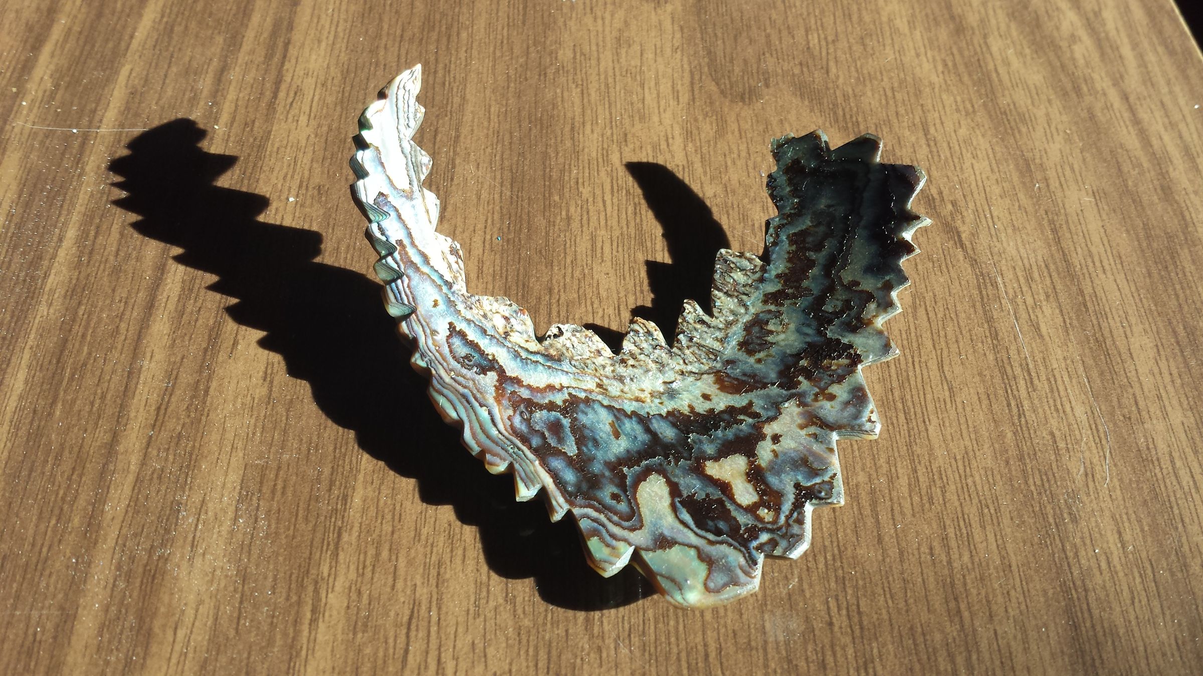 Upcycling & Carving Abalone Shell Into Jewelry and Gris Gris ...