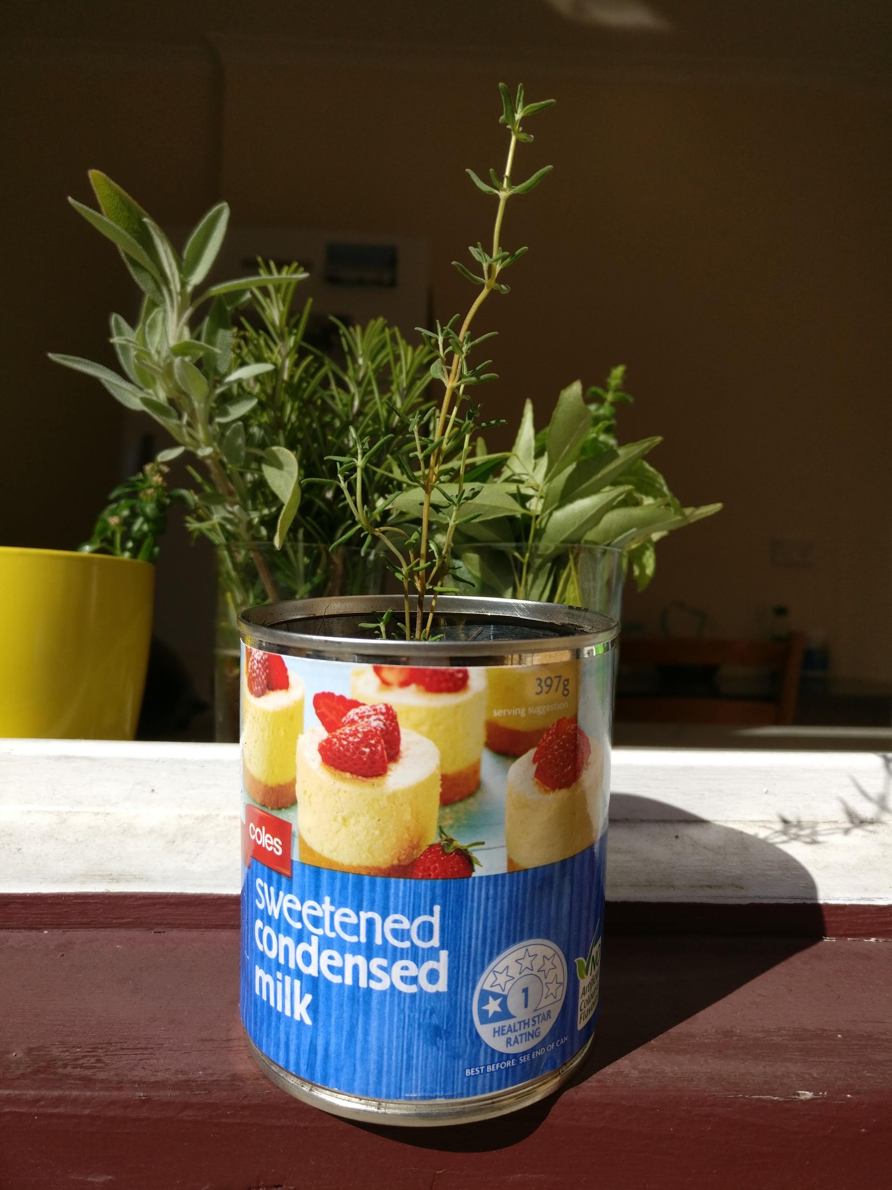 DIY Flower Pot From Can : 4 Steps - Instructables