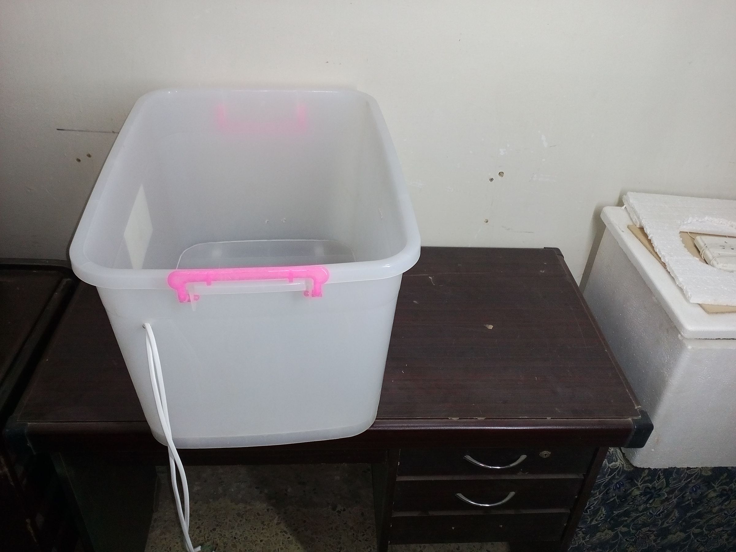 How to Make Homemade Incubator | Egg Hatcher at Home : 5 Steps (with ...
