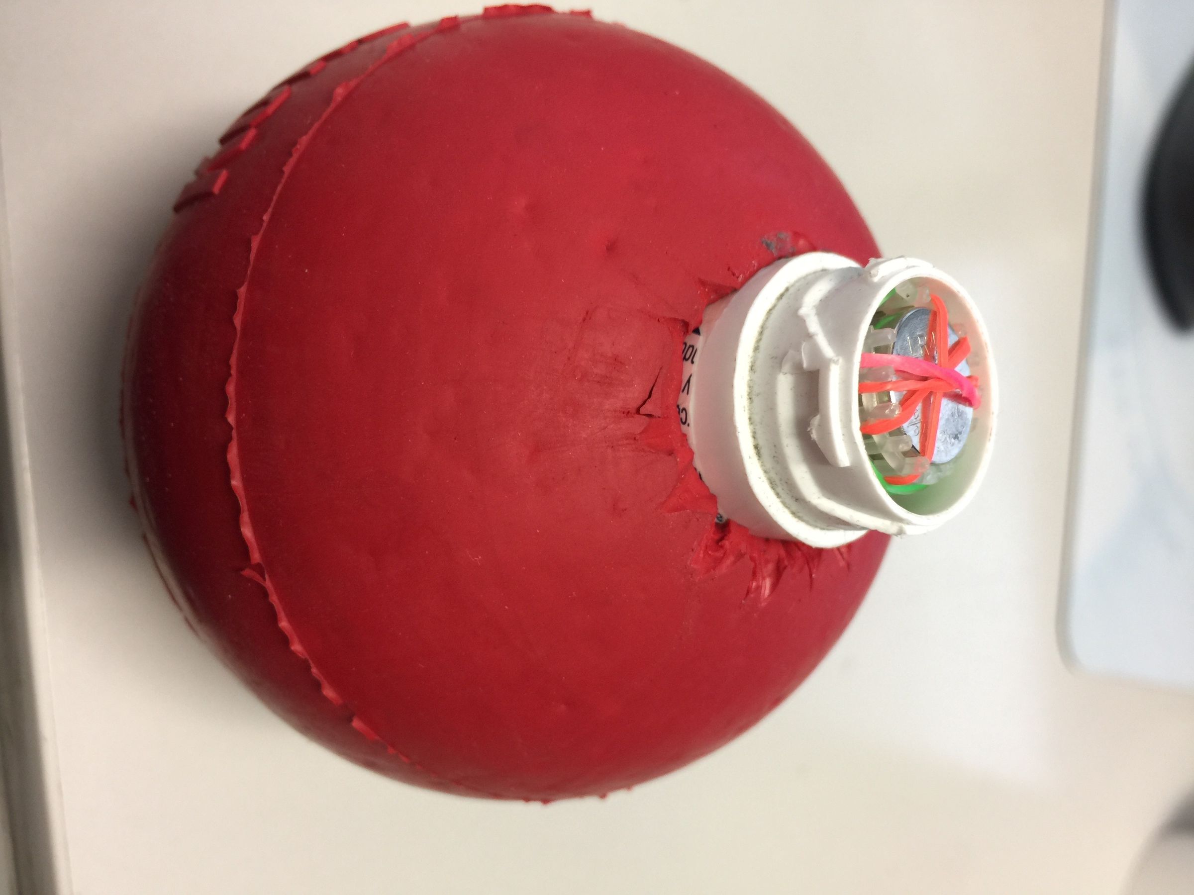 Pet Toy Beeper : 4 Steps (with Pictures) - Instructables