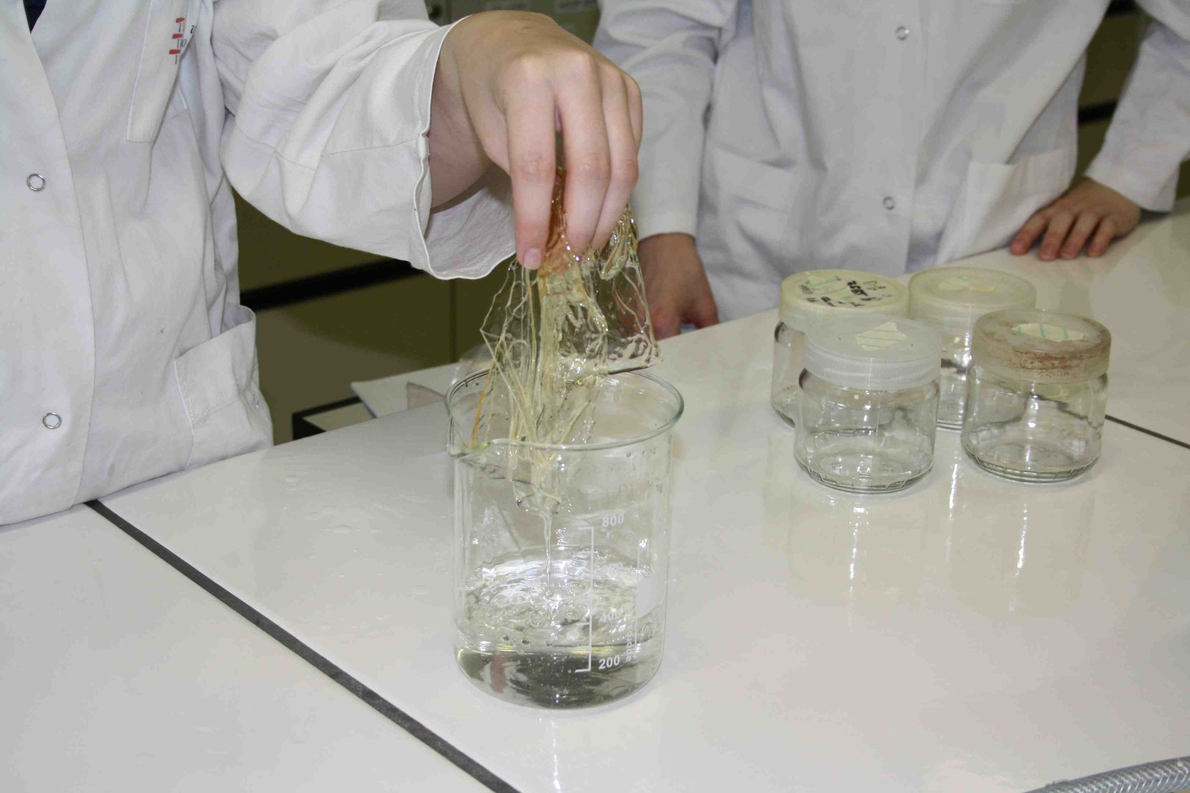 Cook Your Own Microbial Growth Plates : 8 Steps (with Pictures ...