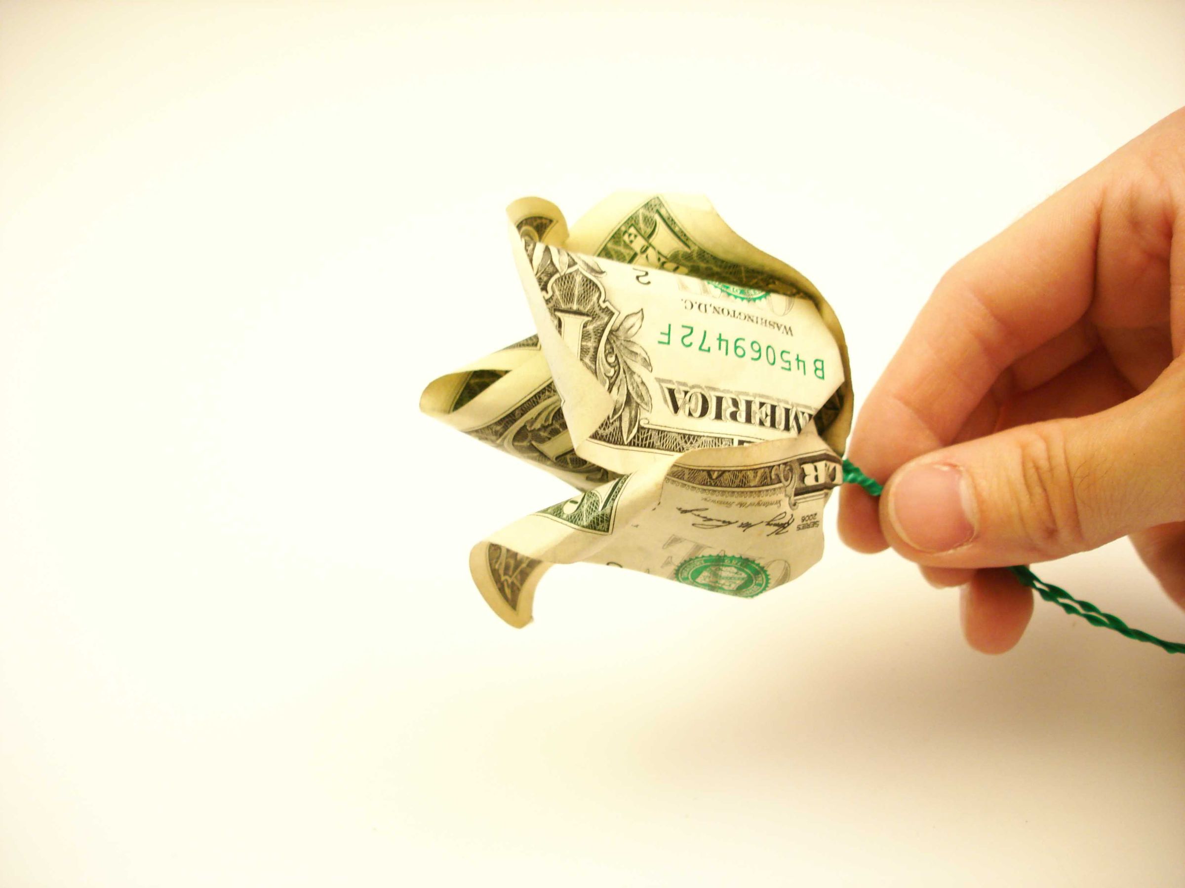 Dollar Bill Flower Bouquet : 7 Steps (with Pictures) - Instructables