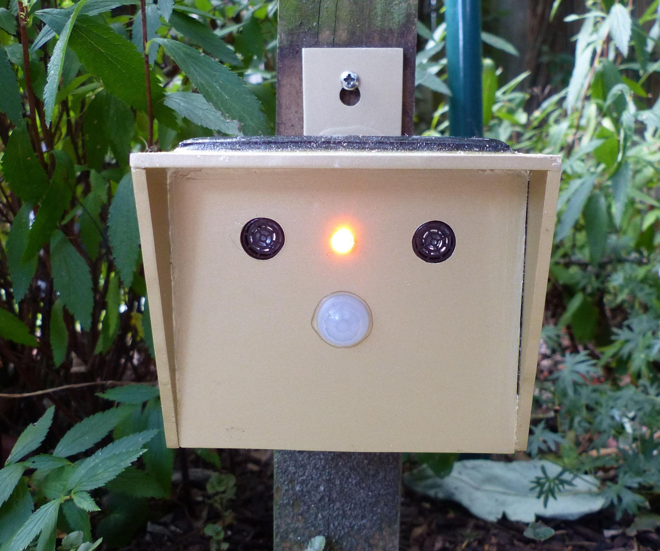Cat Repellent : 4 Steps (with Pictures) - Instructables