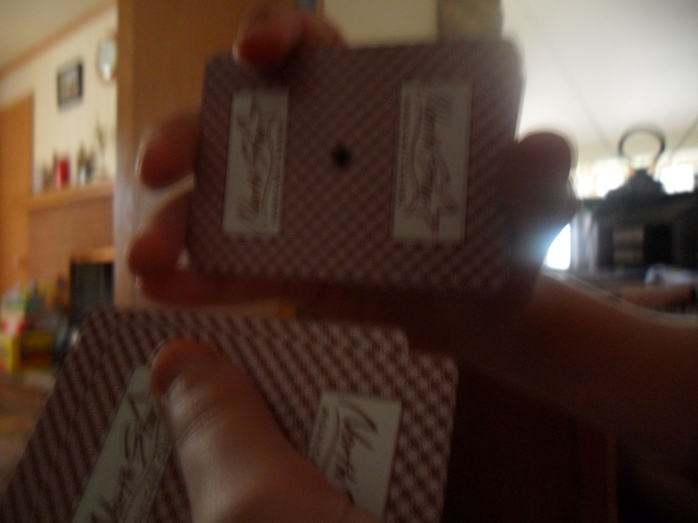 How to Do the Slip N' Shuffle Card Trick : 5 Steps - Instructables
