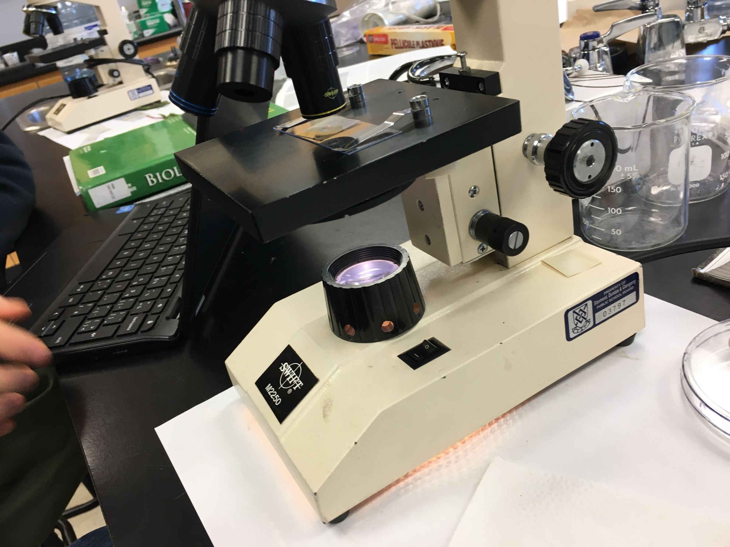 Les Racines Et Les Poils Absorbantes : 7 Steps - Instructables