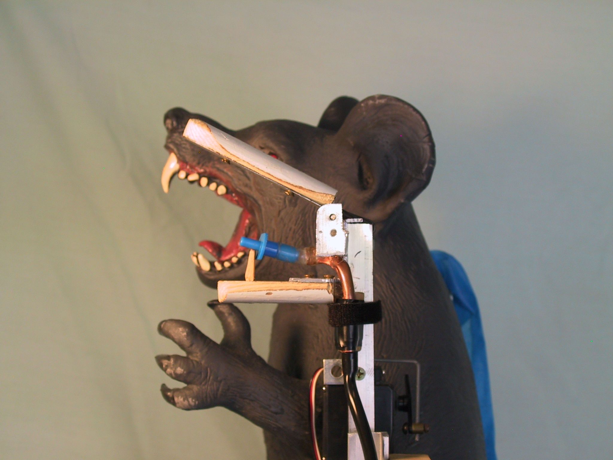 Animatronic Rat : 7 Steps (with Pictures) - Instructables