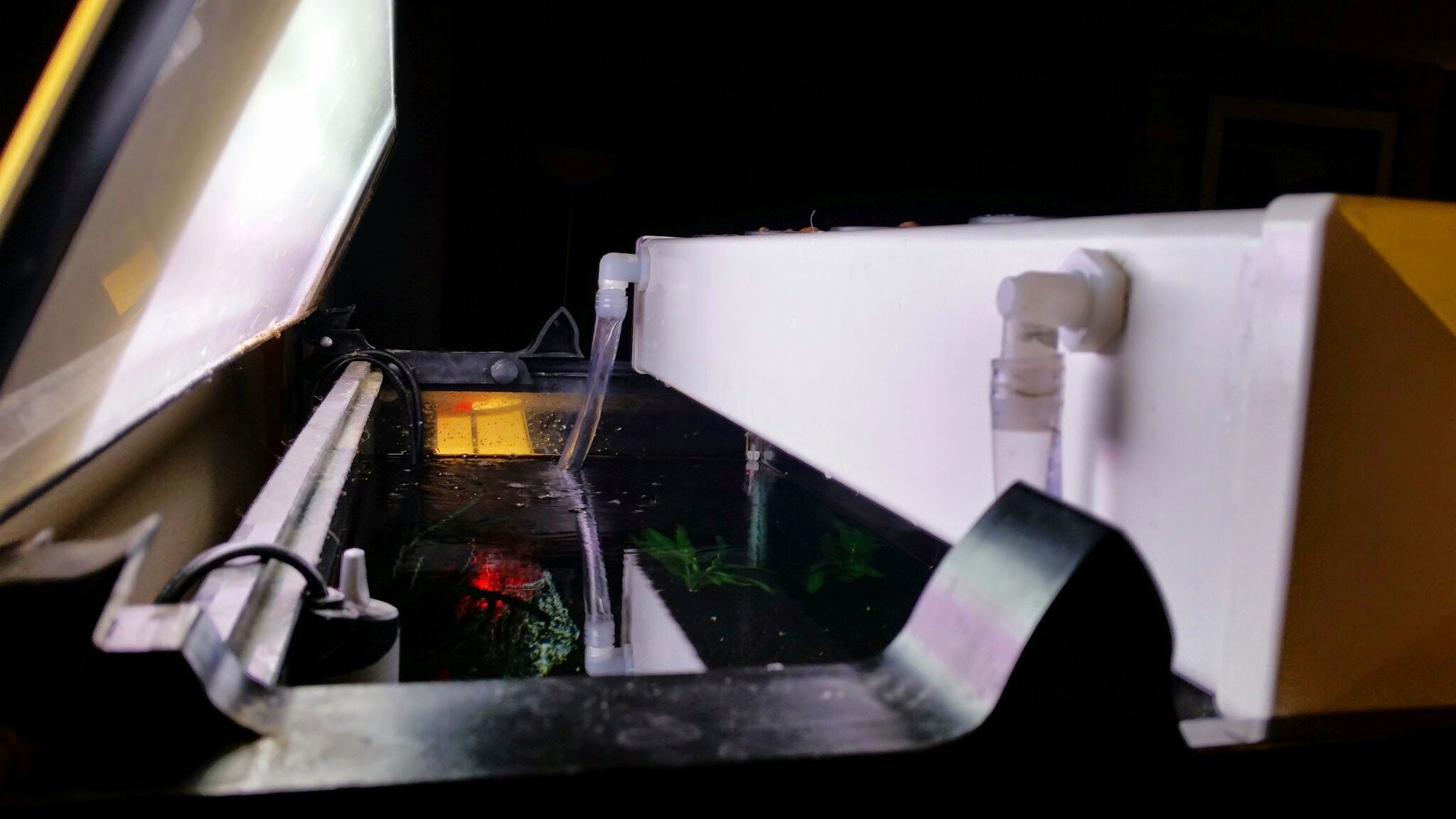 Aquaponic Fish Tank Topper : 8 Steps (with Pictures) - Instructables