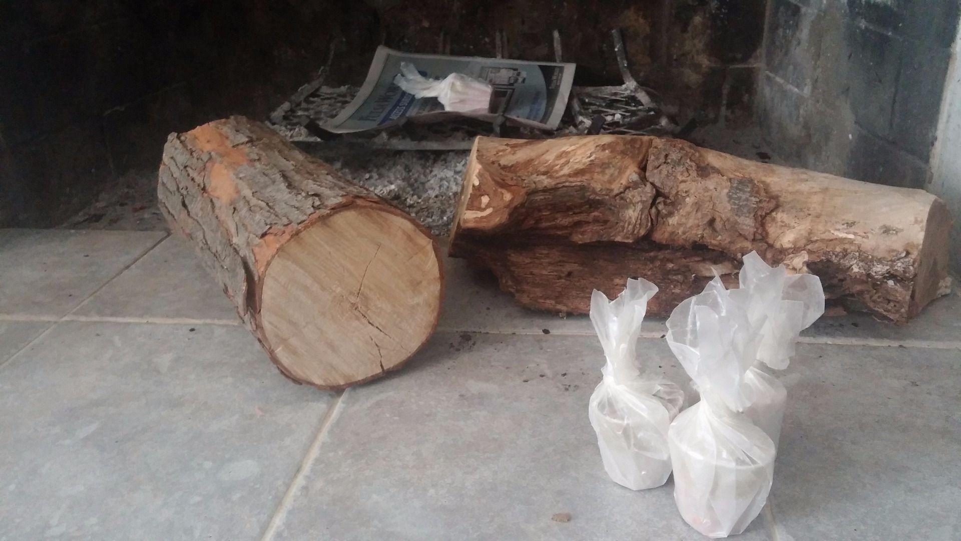 Fire Starters From Household Scraps : 3 Steps (with Pictures ...