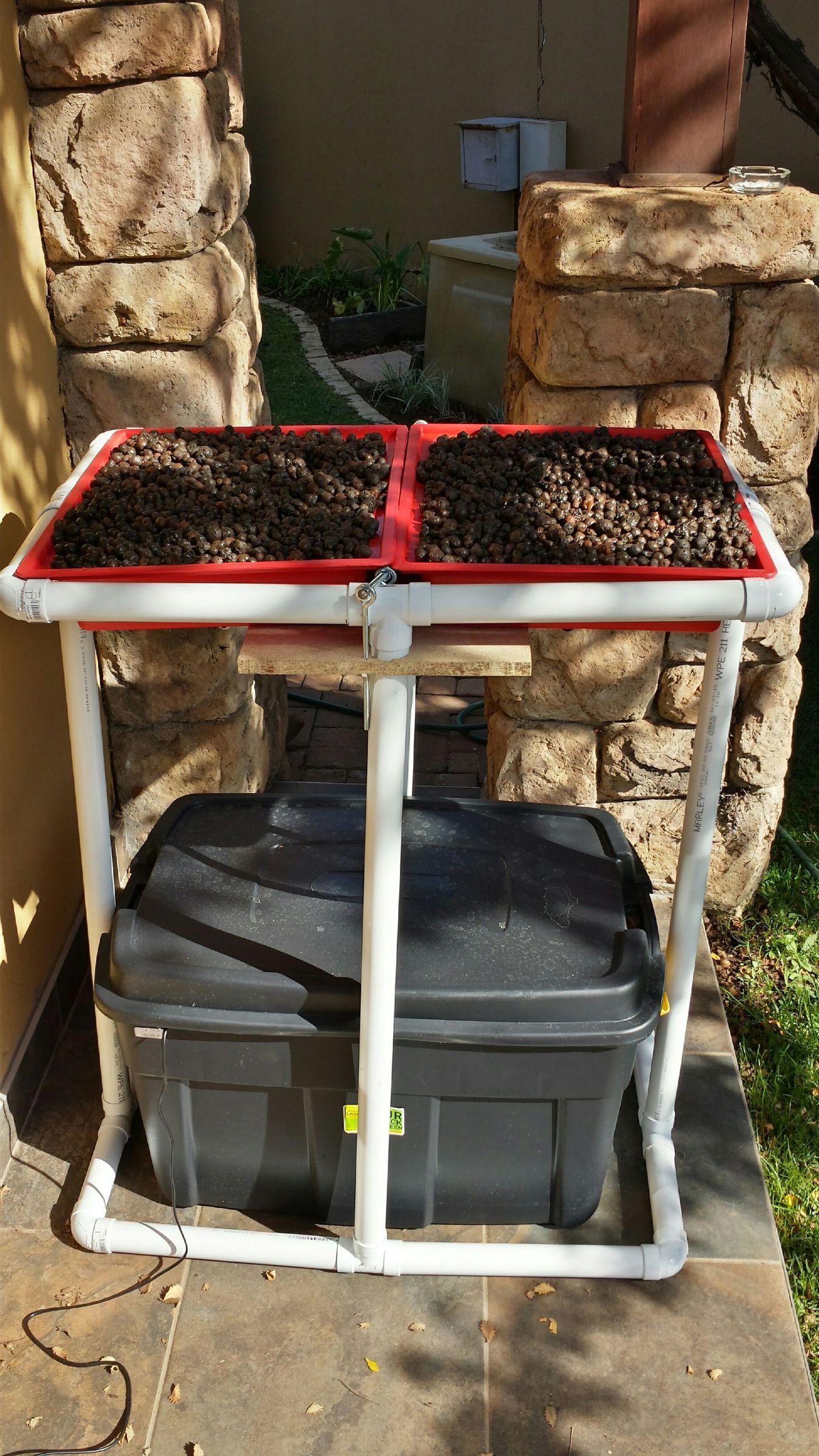 Backyard Ebb and Flow Hydroponics : 9 Steps (with Pictures) - Instructables