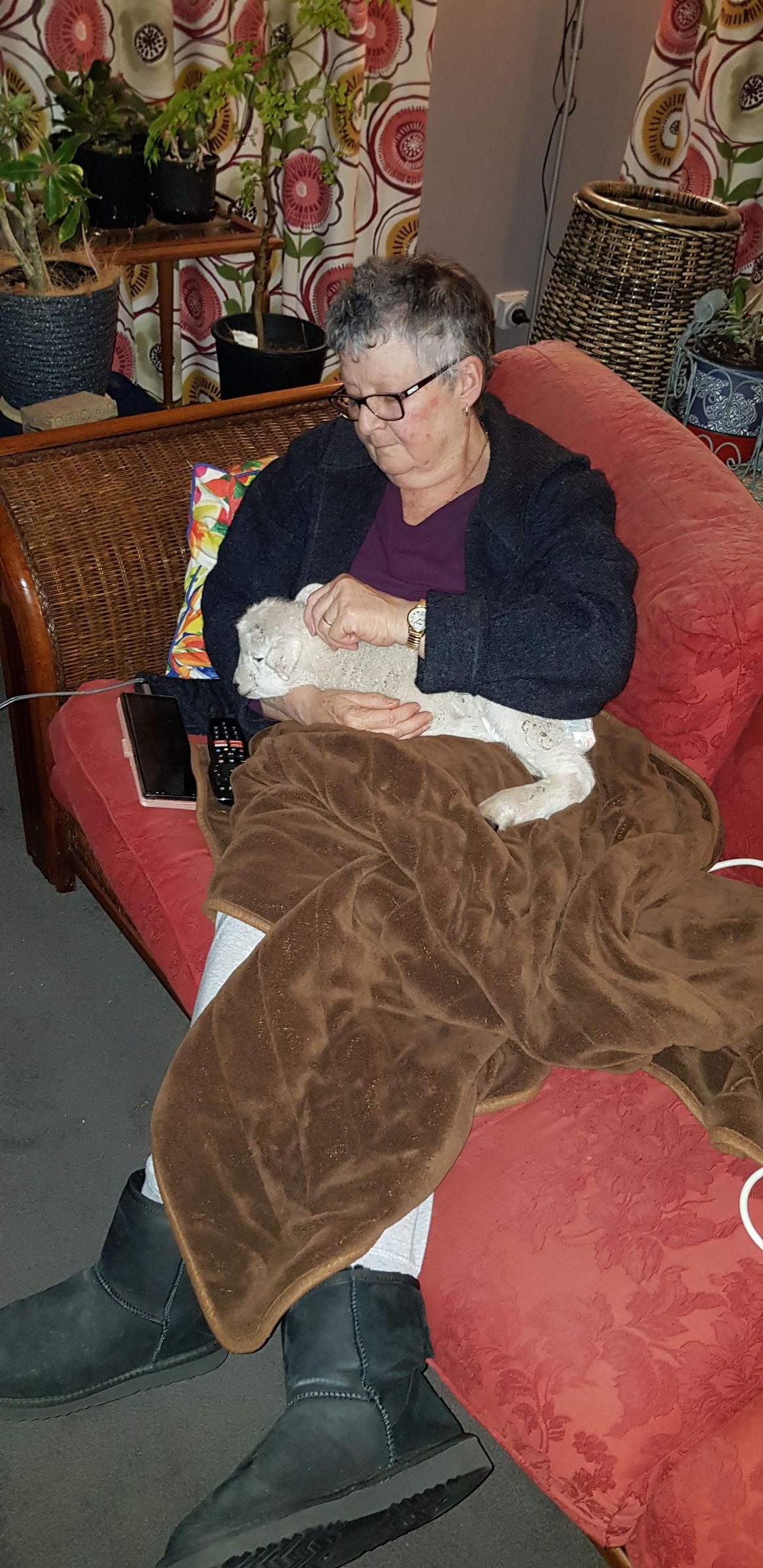 Raising Orphan Lambs : 4 Steps (with Pictures) - Instructables