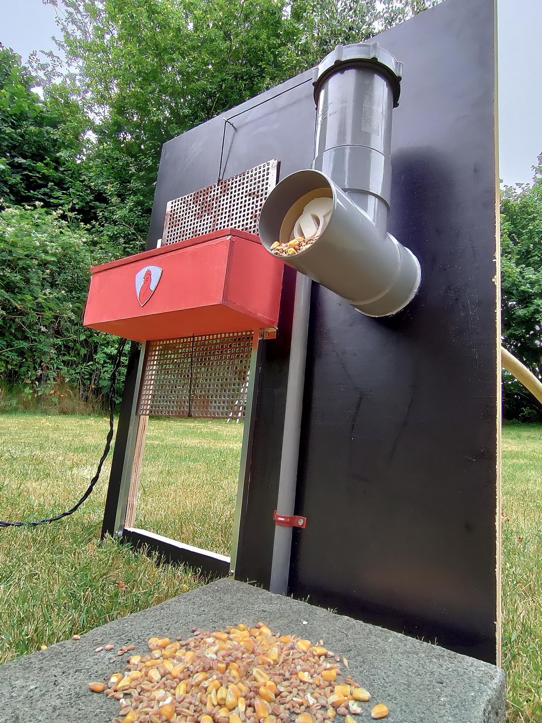 Rooster - Protecting and Feeding Your Chickens Automaticly : 8 Steps ...