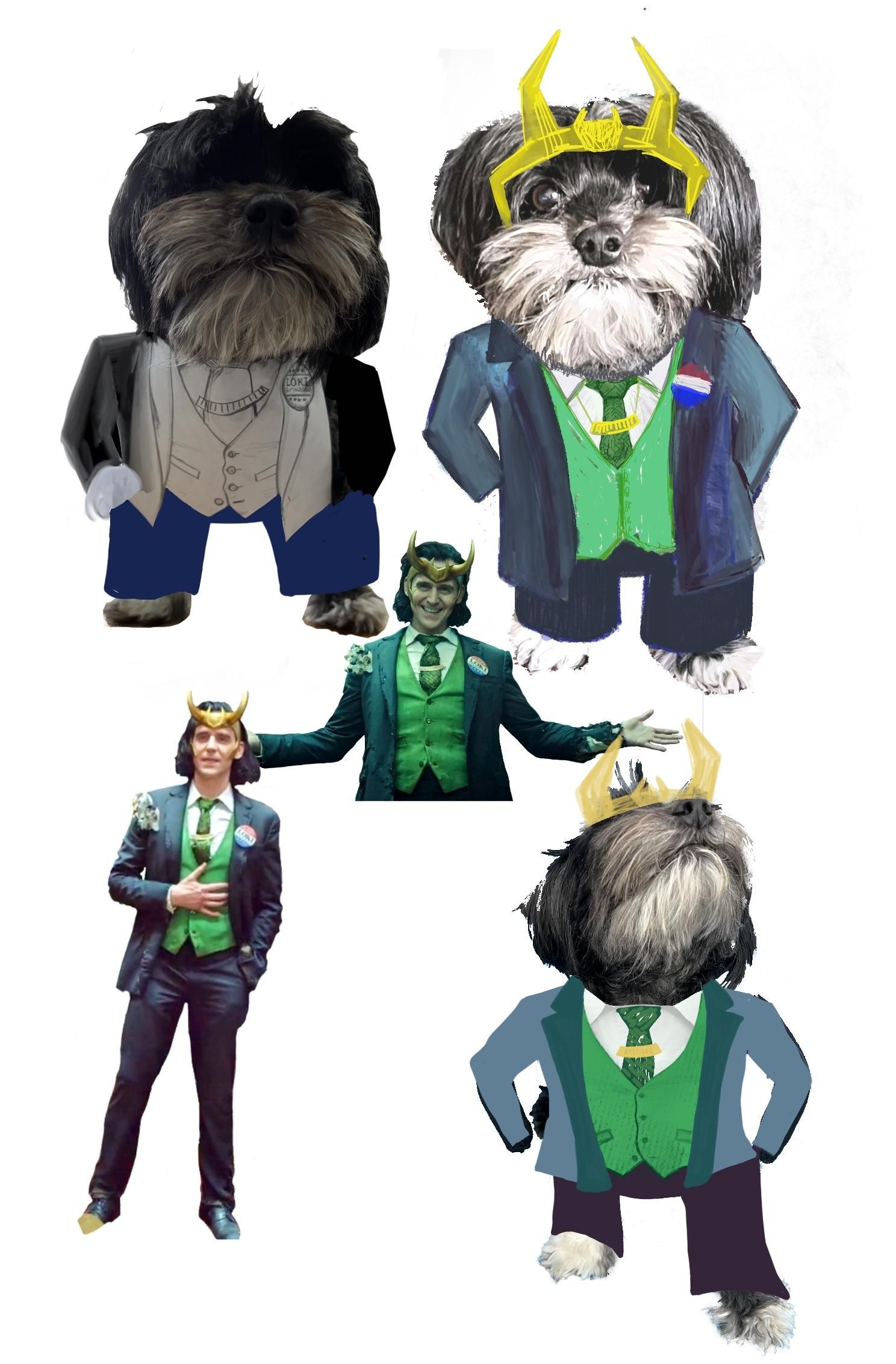 Loki Dog Cosplay: Loki for "PAW"sident : 25 Steps (with Pictures ...