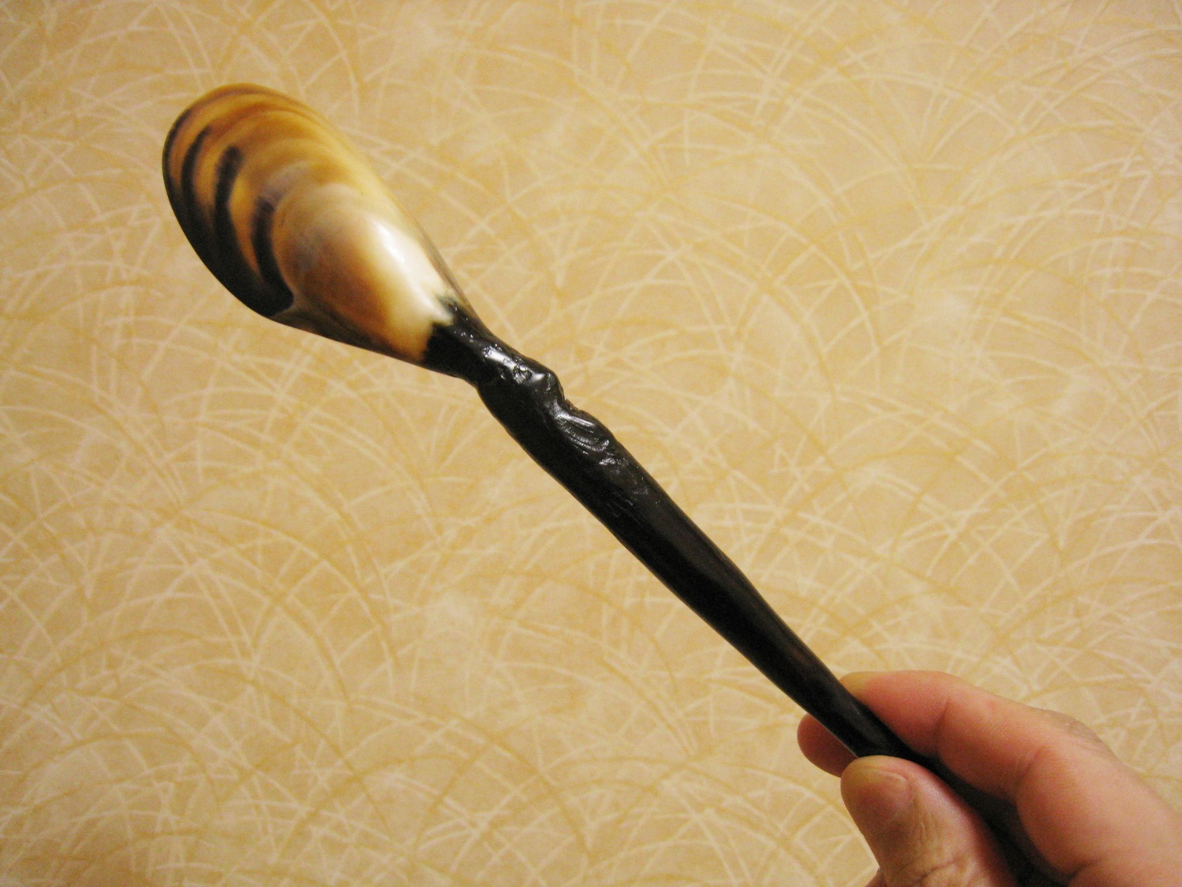 A Spoon & Soup by Making From Mussel : 4 Steps - Instructables