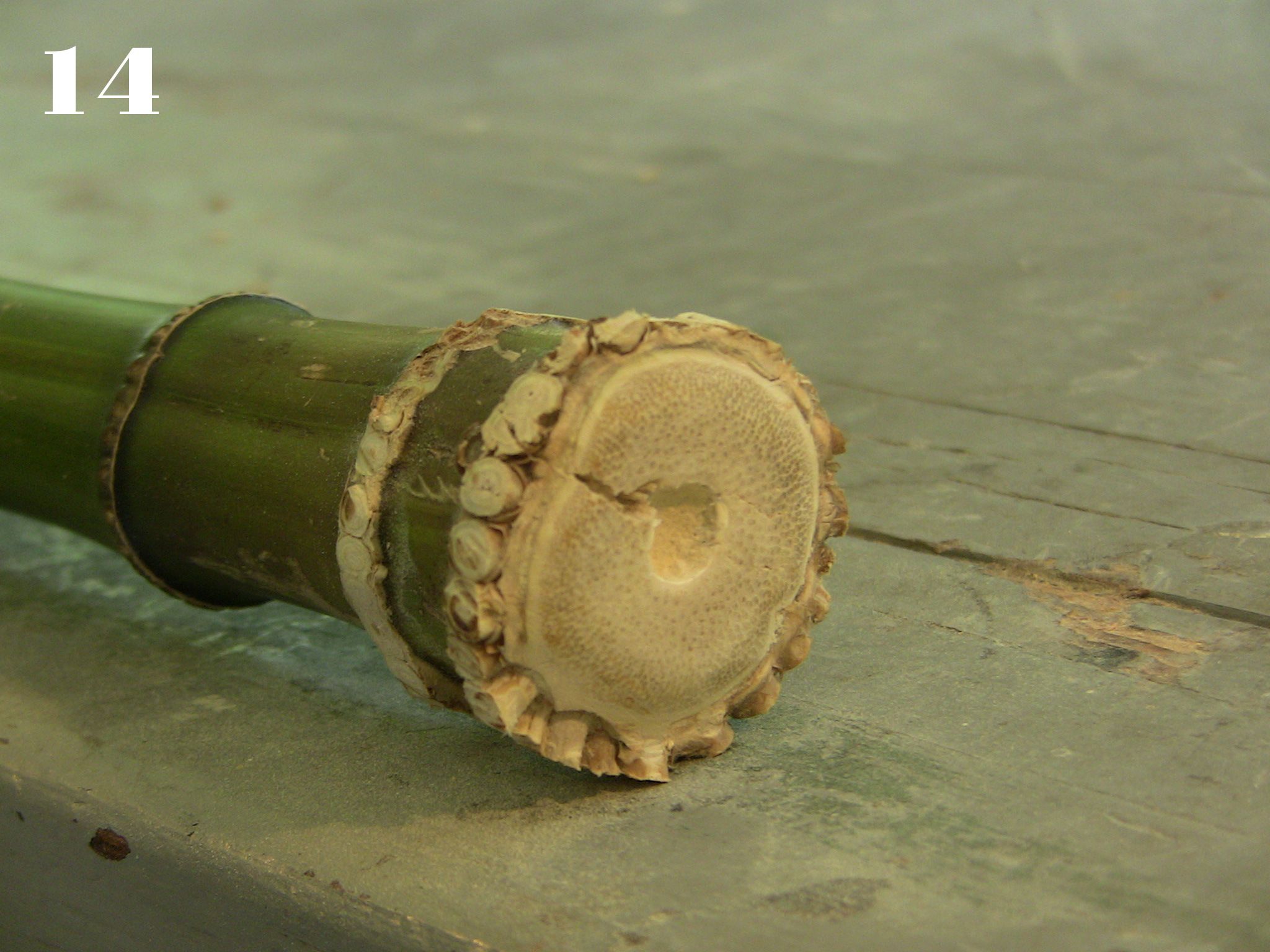 Make 4 Easy Bamboo Flutes for Free! : 7 Steps (with Pictures ...