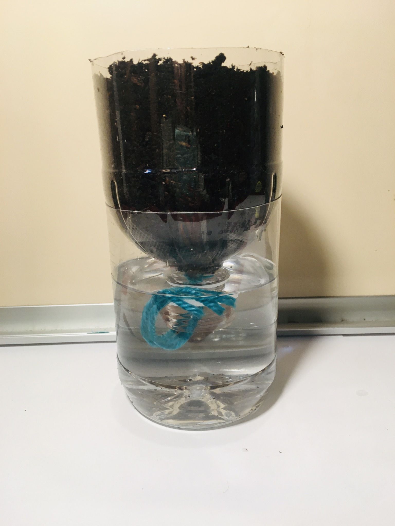 Self Watering Planter From a Plastic Bottle : 3 Steps - Instructables