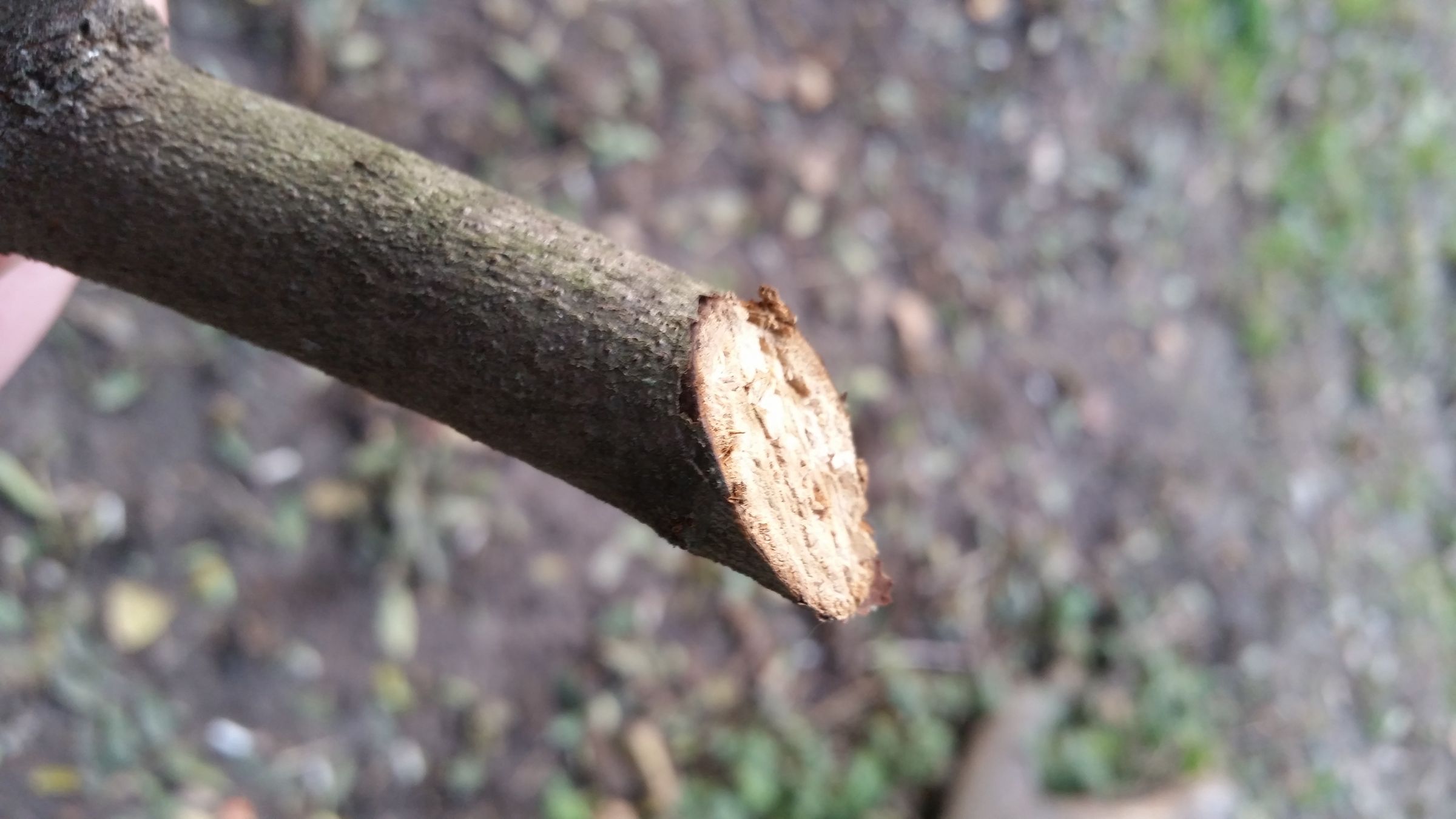 Primitive Smart Fishing : 8 Steps (with Pictures) - Instructables