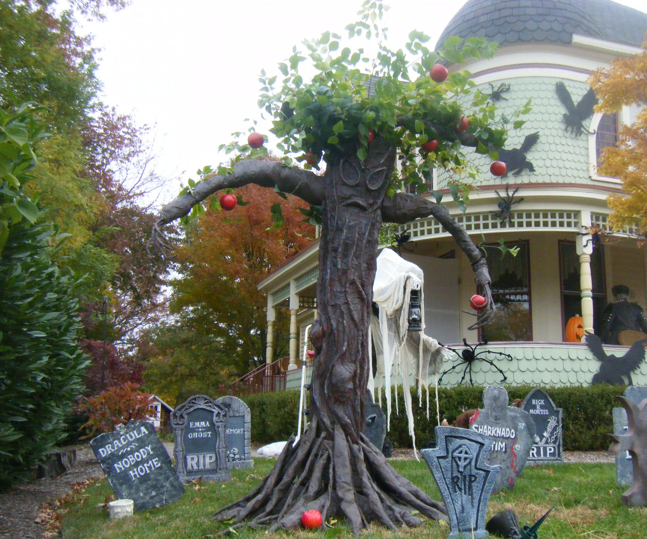 From Apple Tree to Whomping Willow : 6 Steps (with Pictures ...