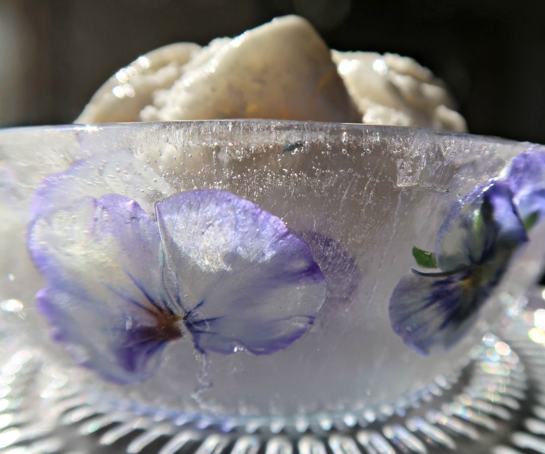 How to Make Easy Ice Bowls : 7 Steps (with Pictures) - Instructables