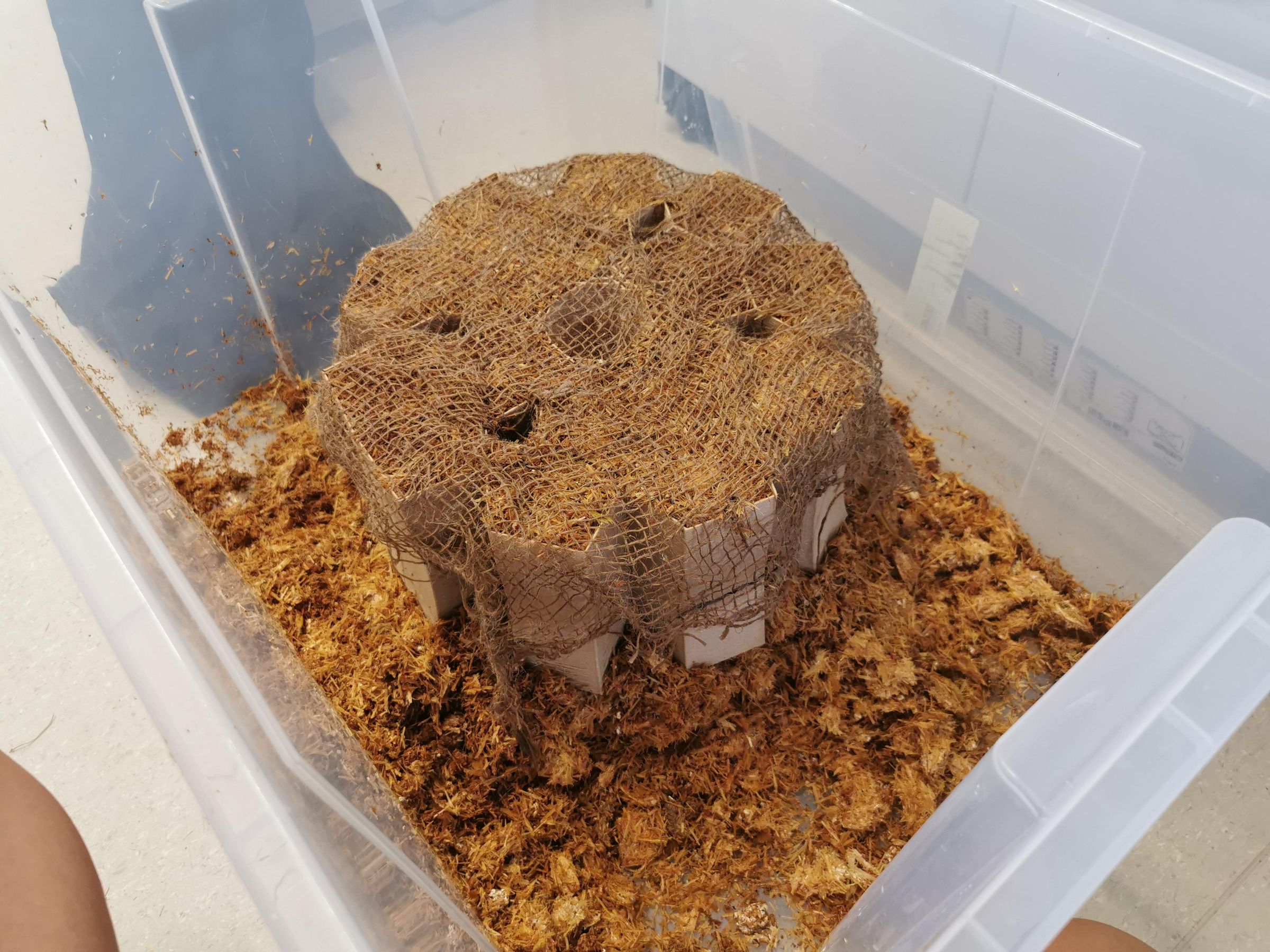 3D Printed and Mycelium Grown Beehives : 9 Steps (with Pictures) - Instructables