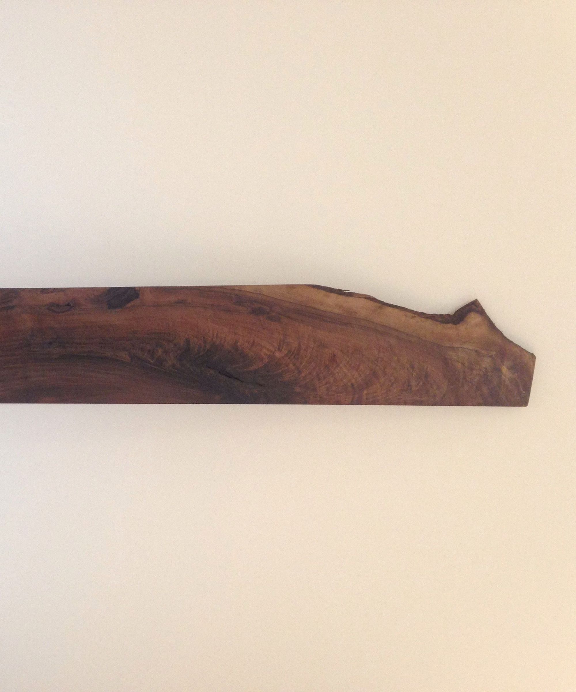 Walnut Growth Chart for Child : 9 Steps - Instructables