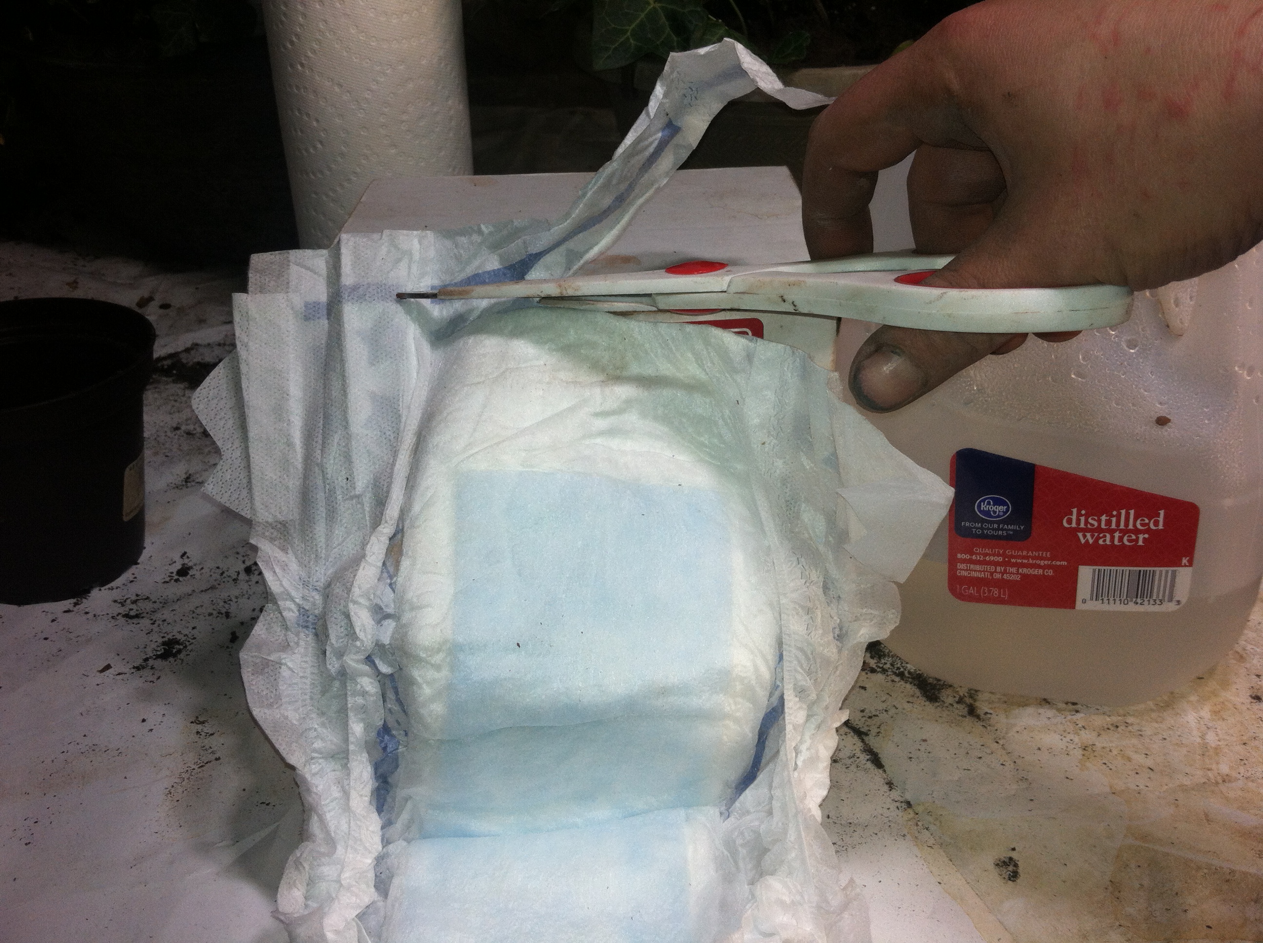 Air Layering Propagation With Clay, Diapers, and Dirt : 5 Steps (with ...