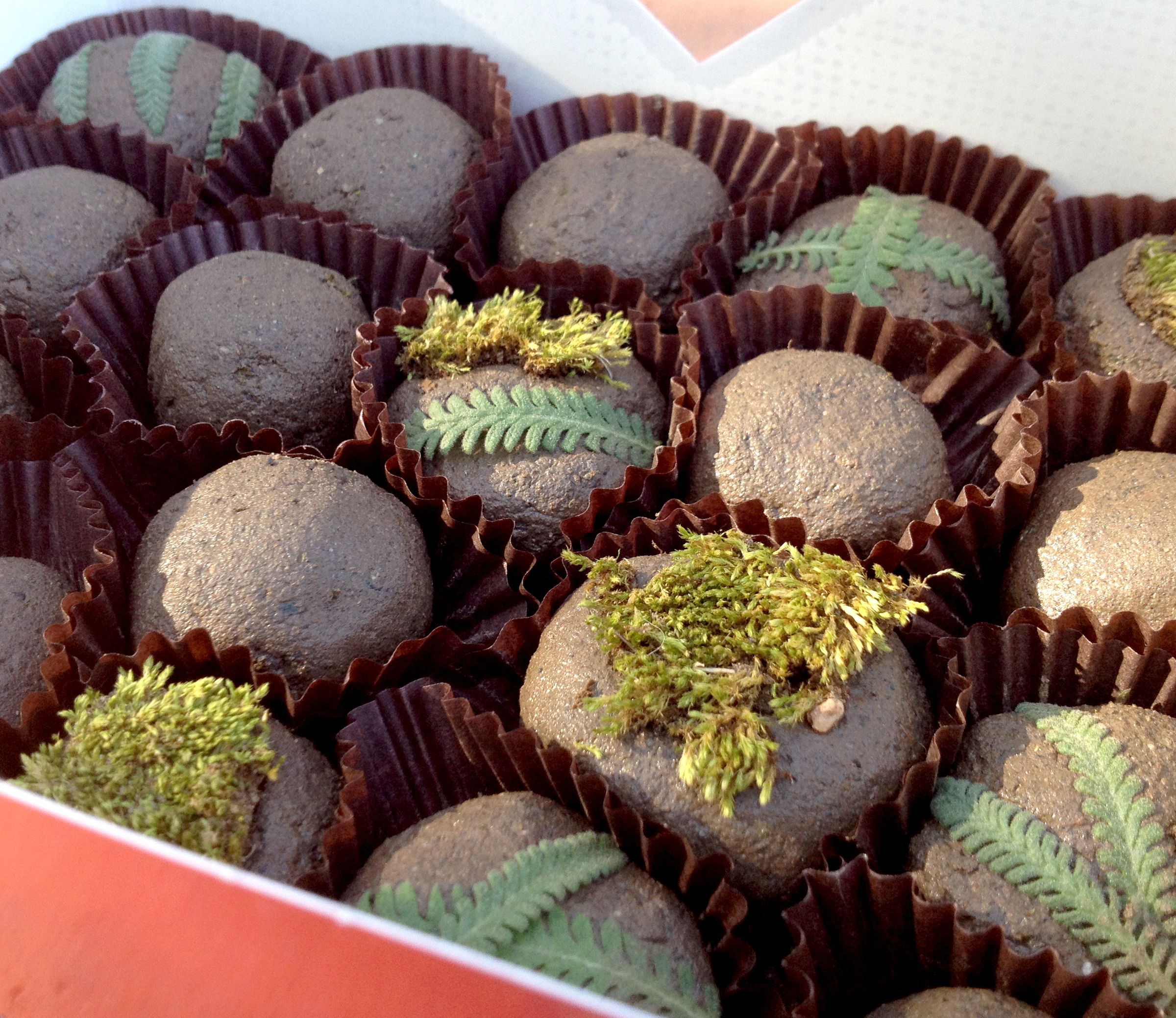 Seed Bon Bons : 6 Steps (with Pictures) - Instructables