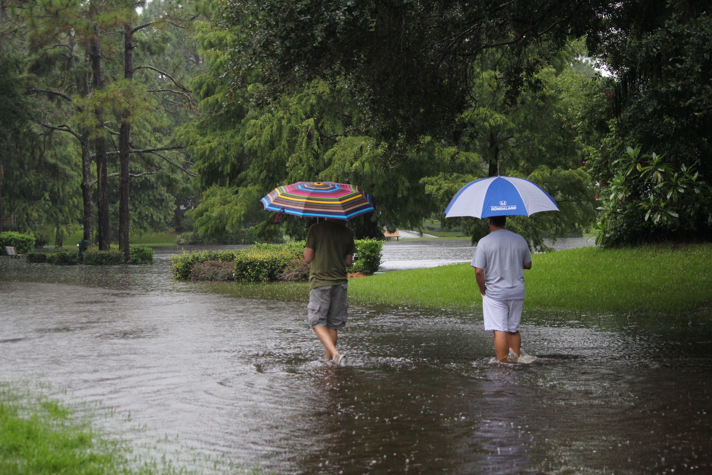 Photos for a Rainy Day: Inclement Weather Photography : 6 Steps (with ...