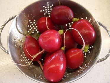 Easy Decorative Rose Radishes : 9 Steps (with Pictures) - Instructables