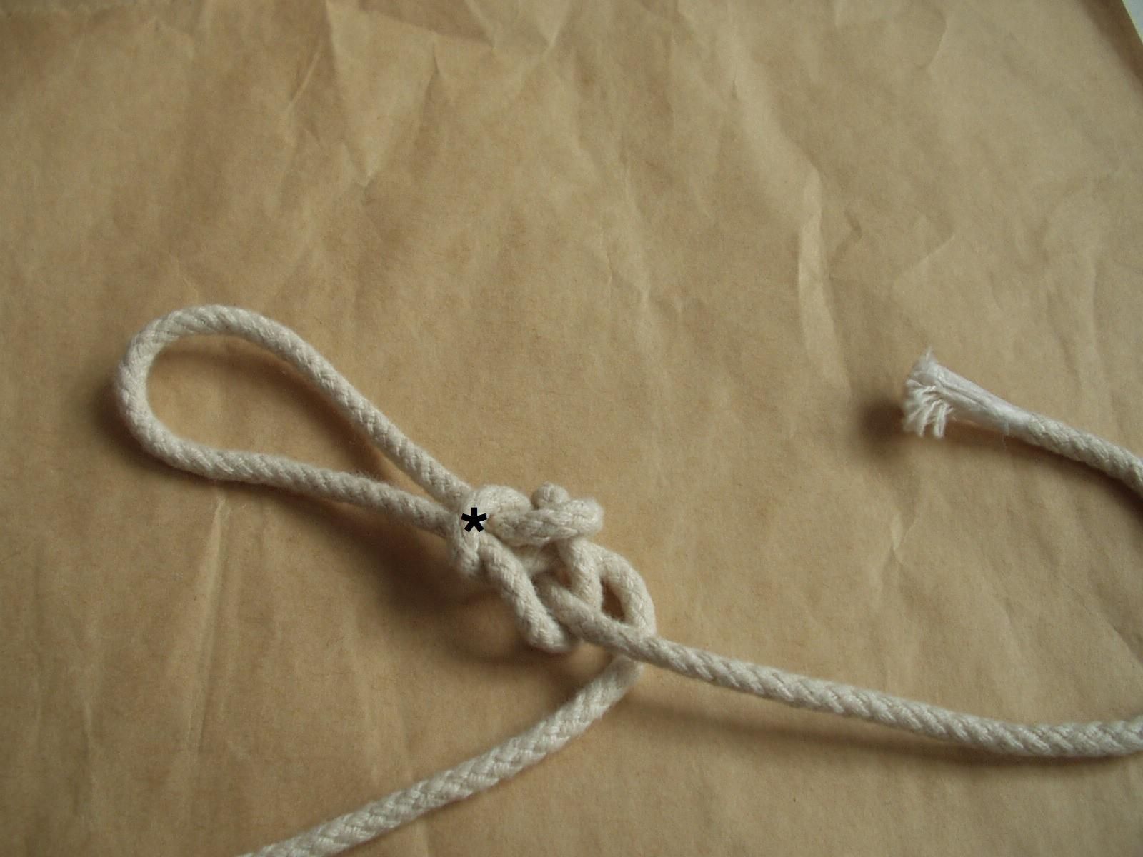 Modified Figure Eight Knot Loop : 7 Steps (with Pictures) - Instructables