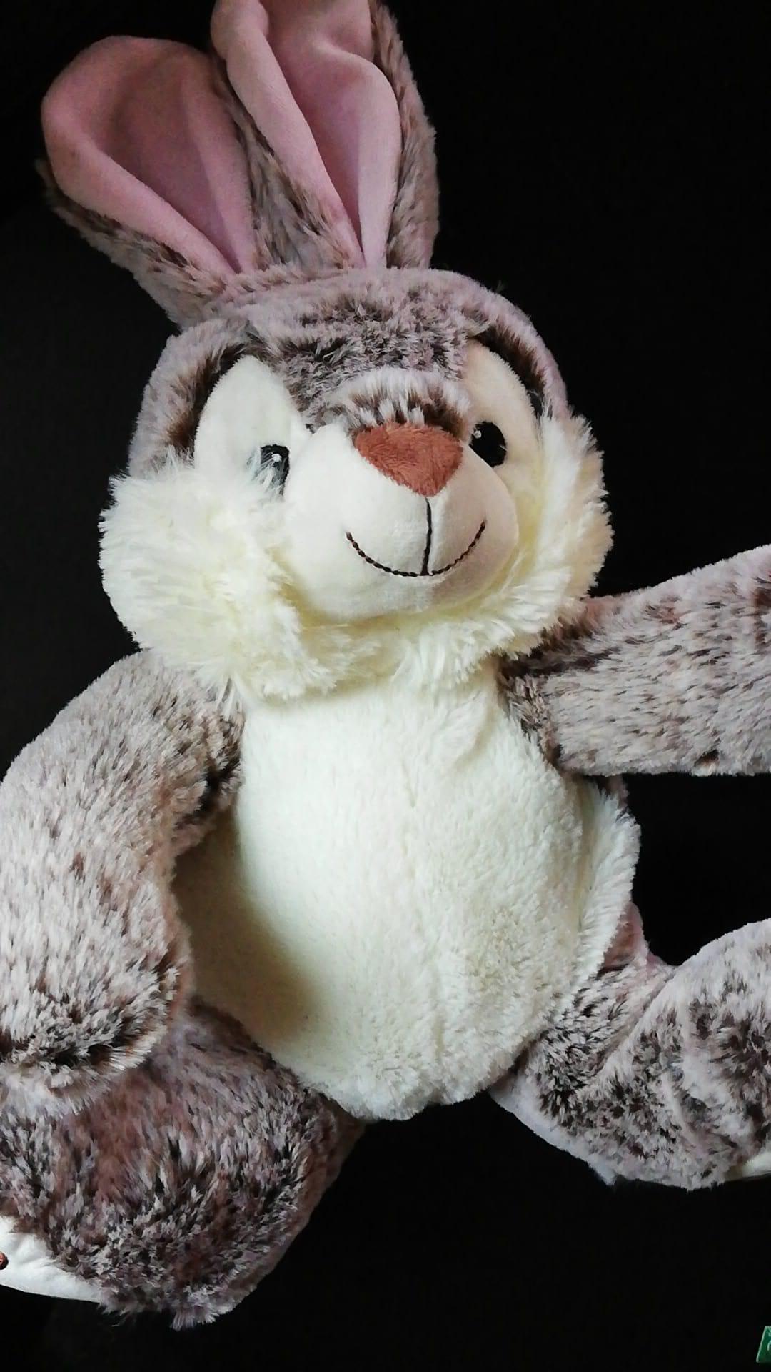 Neurotic Robot : 5 Steps - Instructables