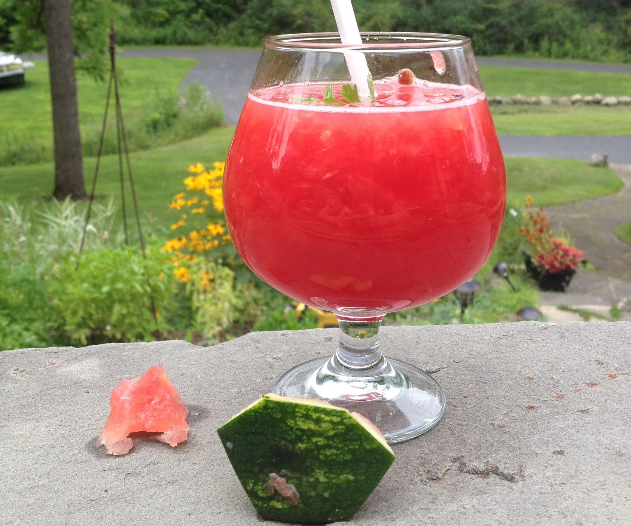 Fun Watermelon Smoothie : 4 Steps - Instructables