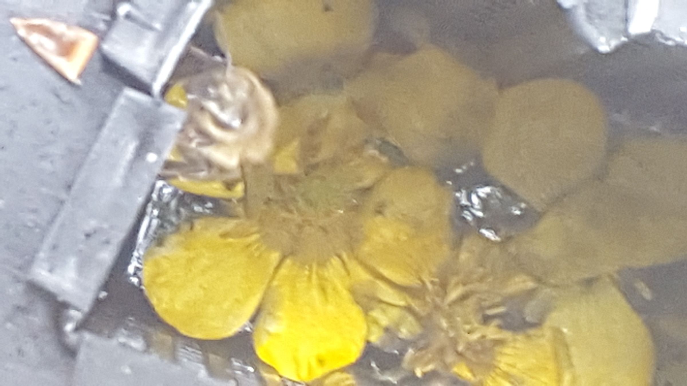 Honey Bee Syrup (with Pictures) - Instructables