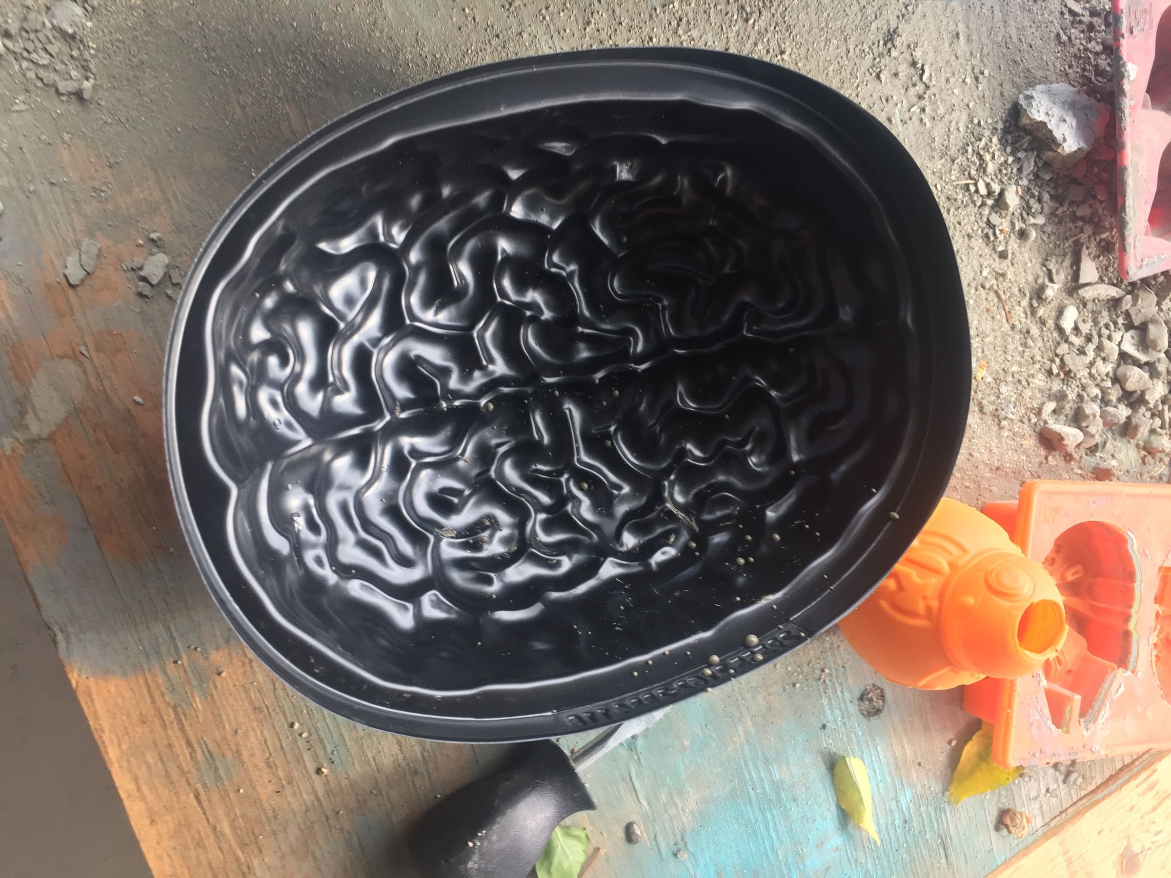 Concrete Brain Halloween Decoration ($10) : 5 Steps (with Pictures ...