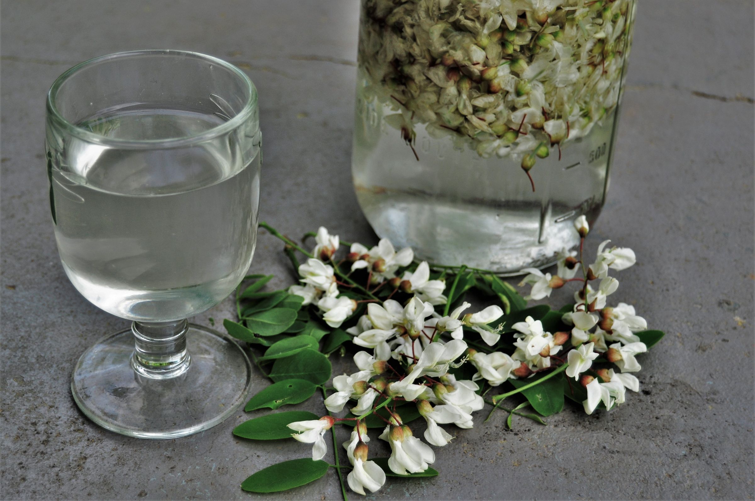 Black Locust Flower Cold Brew Tea : 4 Steps (with Pictures) - Instructables
