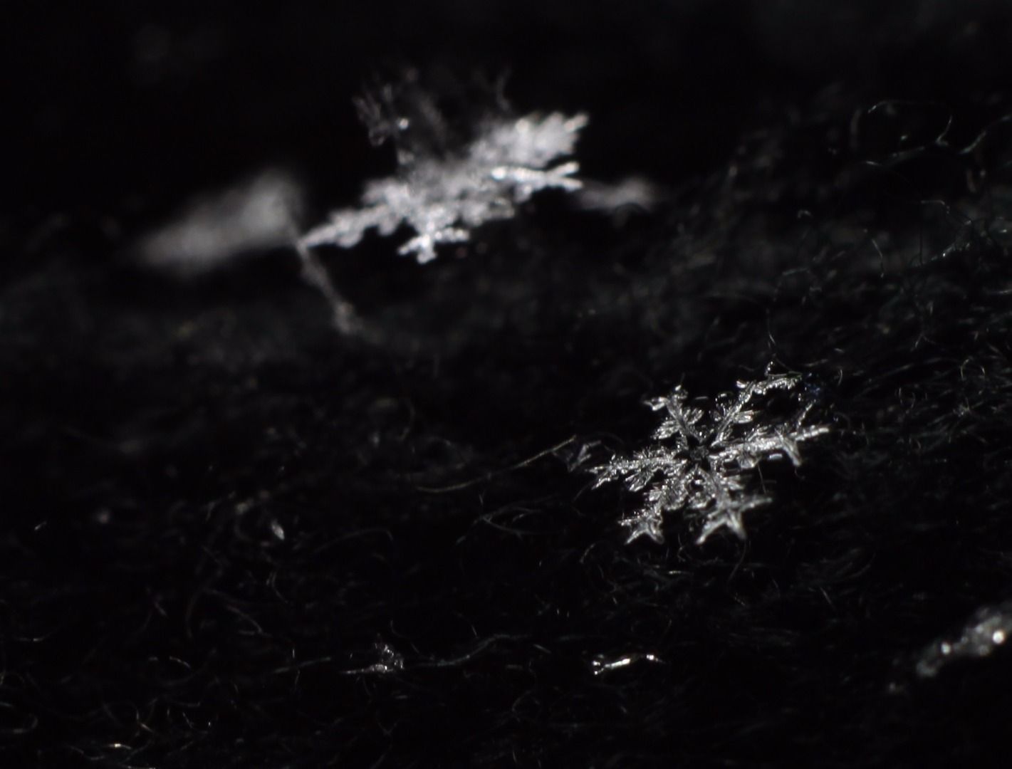 How to Preserve a Snowflake Forever! : 7 Steps (with Pictures ...