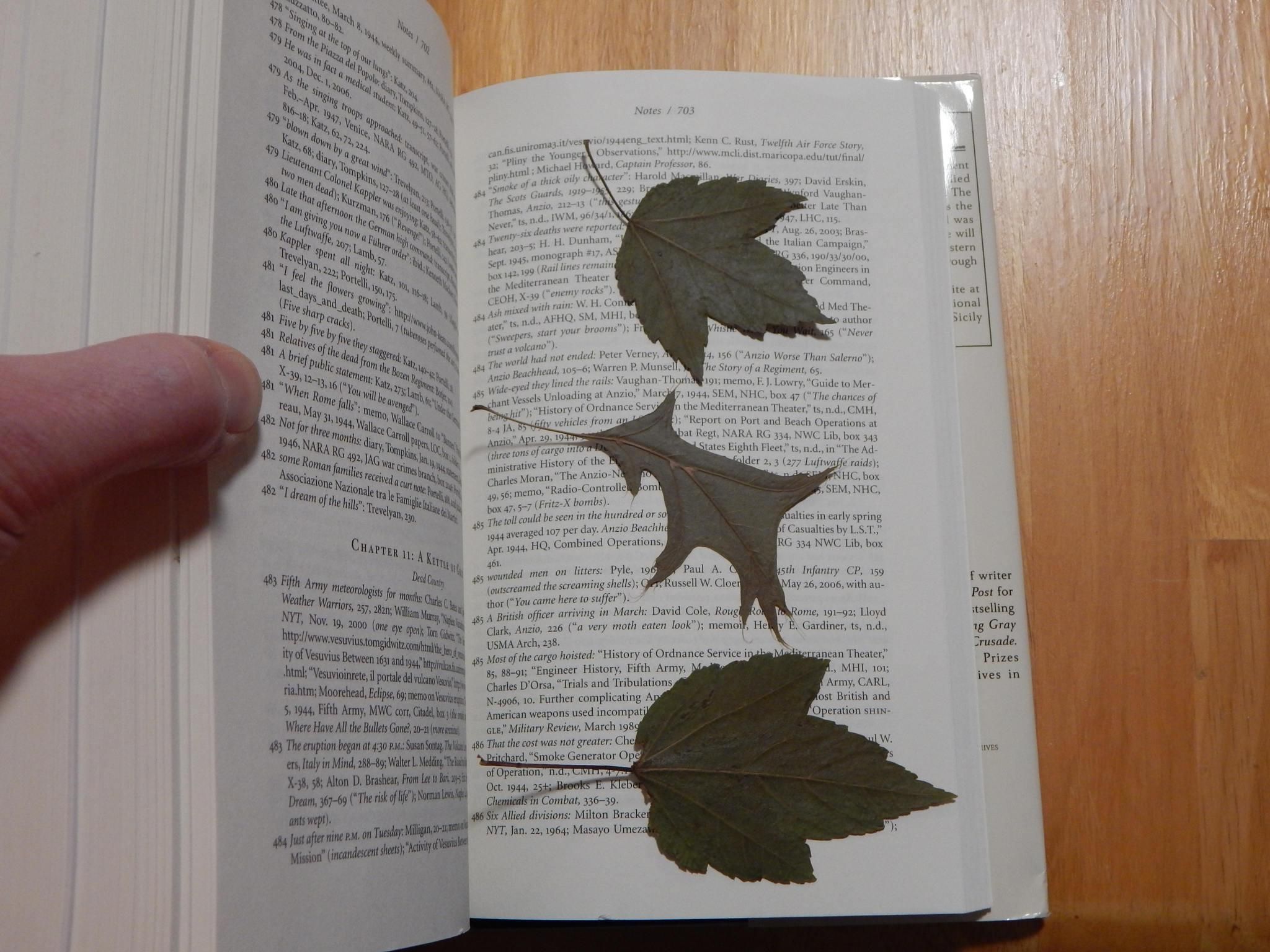 DIY Laminated Leaf Bookmarks : 4 Steps (with Pictures) - Instructables