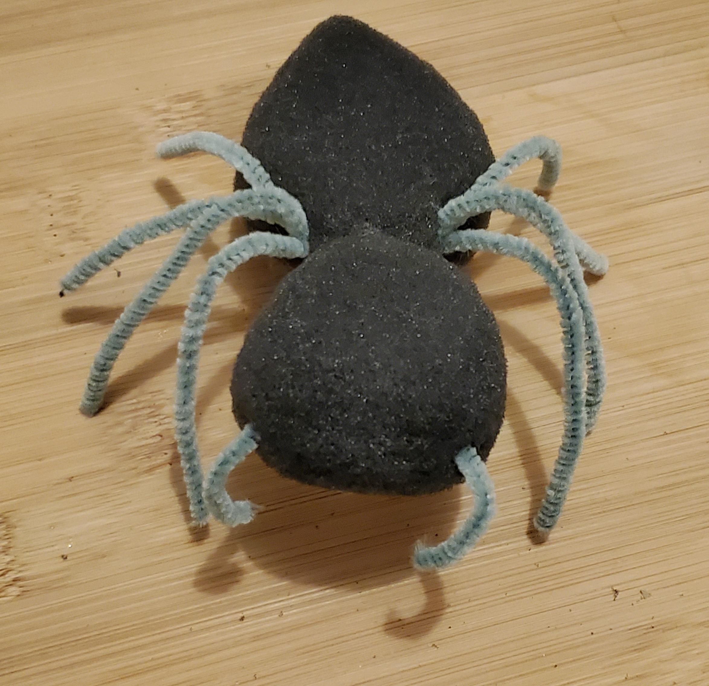 Jumping Spider : 9 Steps (with Pictures) - Instructables