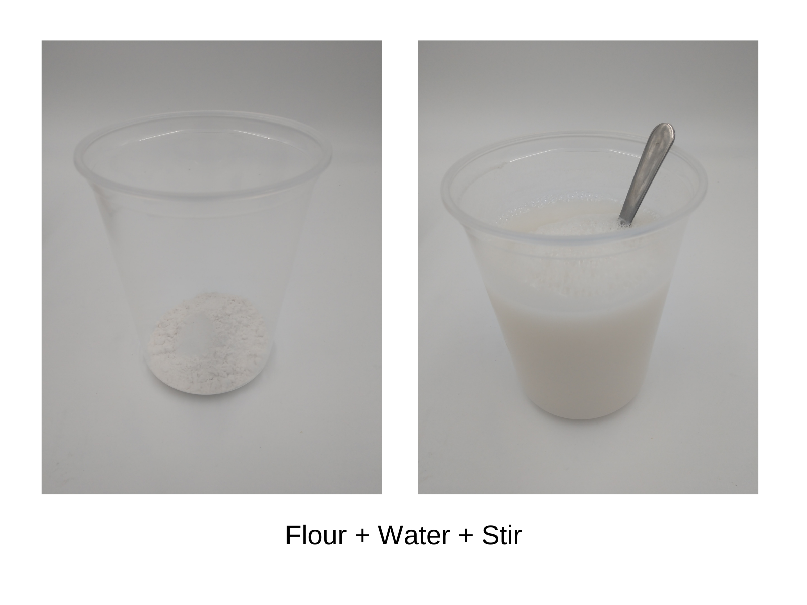 Growing Mycelium in the Classroom and Making Stuff With It ...